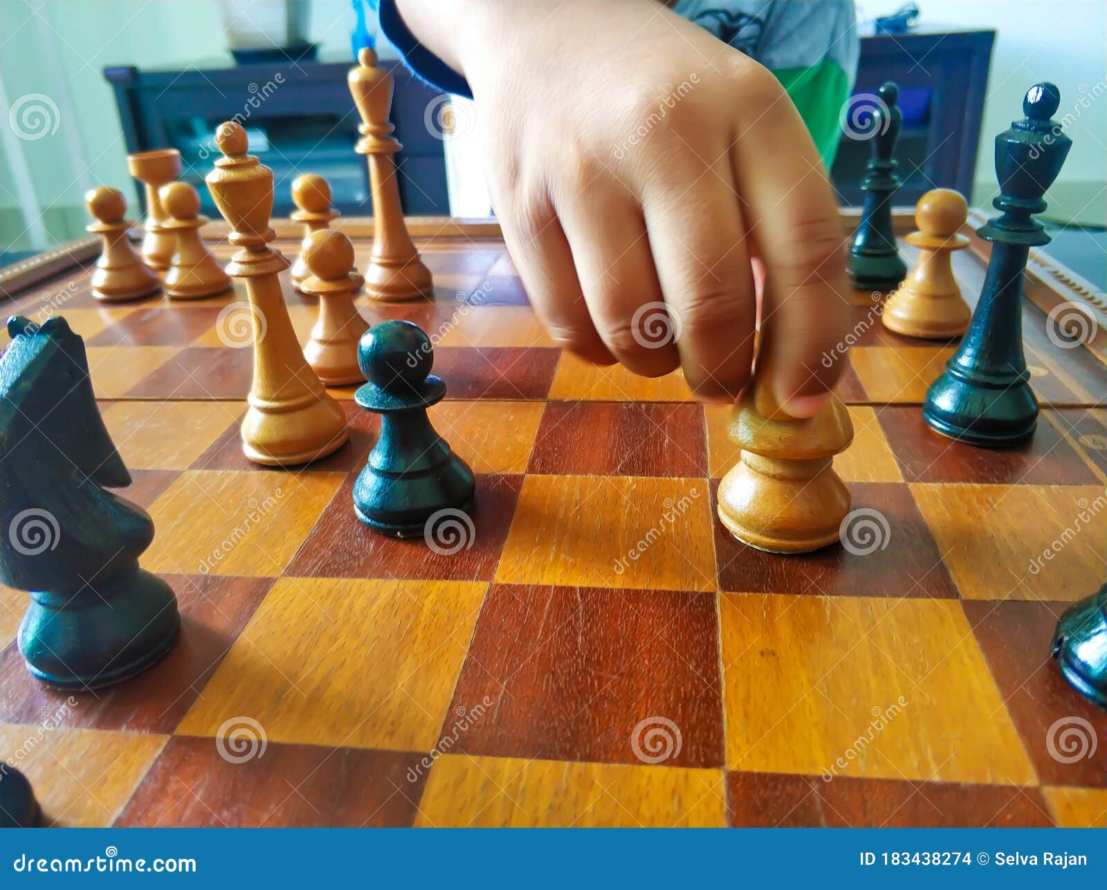 Chess Game Taking Place between 2 Person Stock Photo - Image of board ...