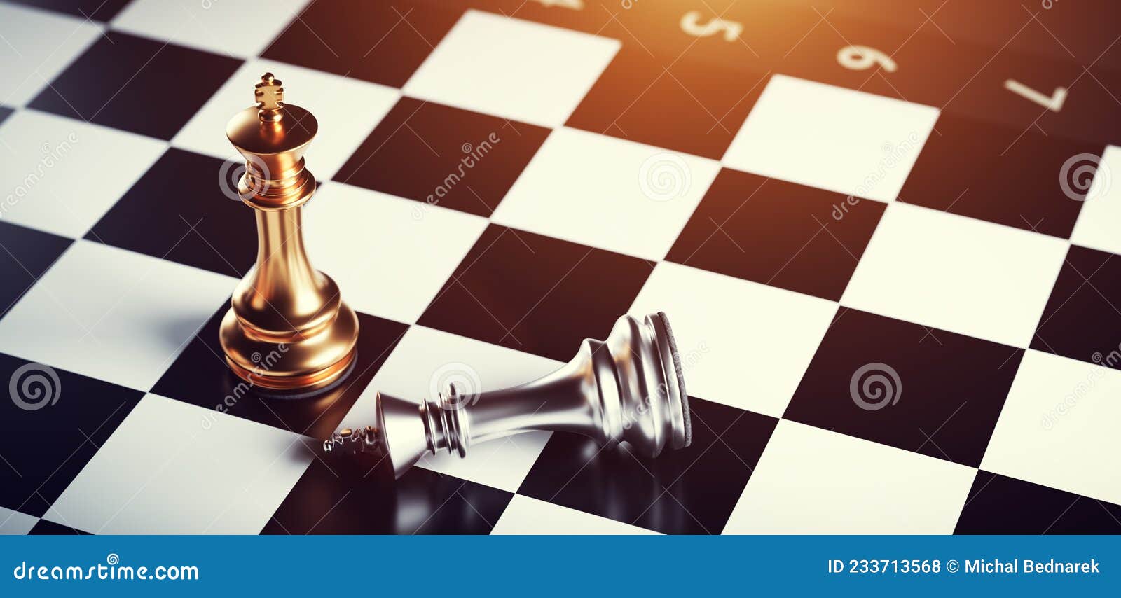 Chess game - win and lose. stock photo. Image of silver - 233713568