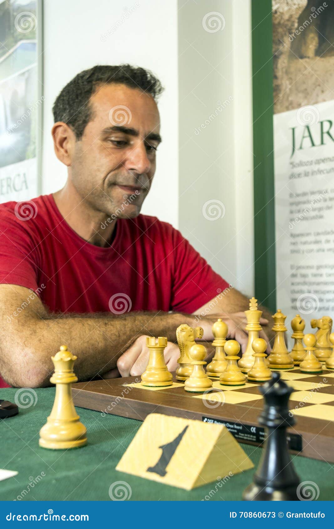 Chess grandmaster editorial stock photo. Image of granada - 70860673