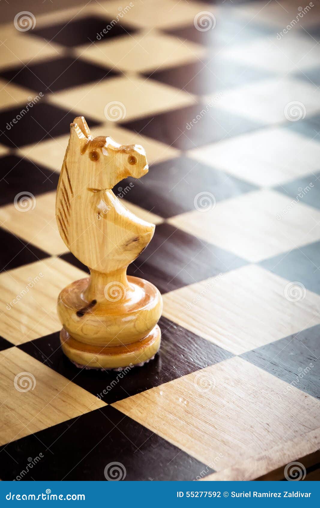 Chess - horse stock photo. Image of think, chess, horse - 55277592