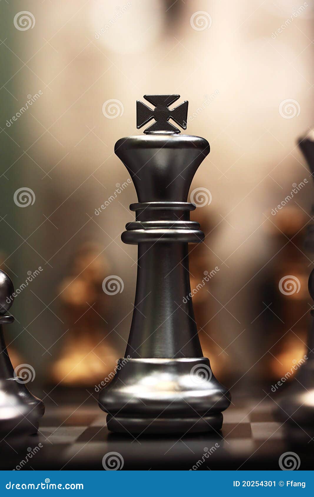 Chess King stock illustration. Illustration of game, black - 20254301