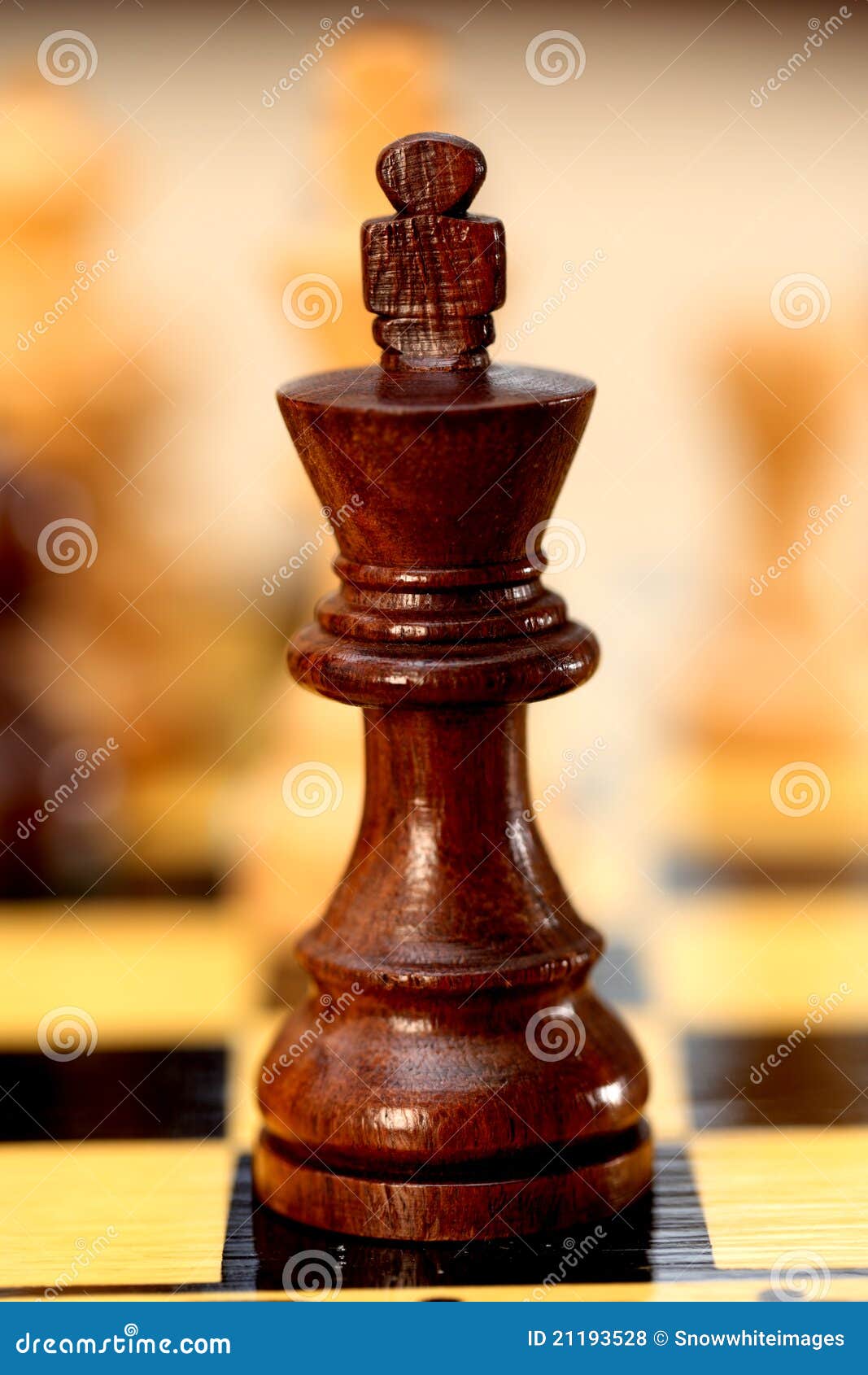 Chess king stock photo. Image of conquering, king, thinking - 21193528