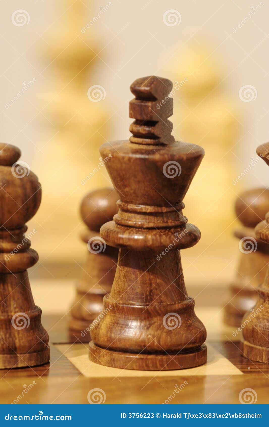 Chess King Picture. Image: 3756223