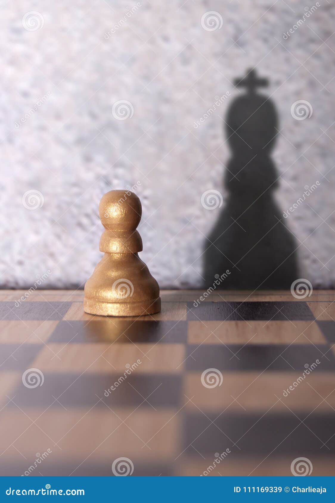 Chess king shadow stock image. Image of success, ambition - 111169339
