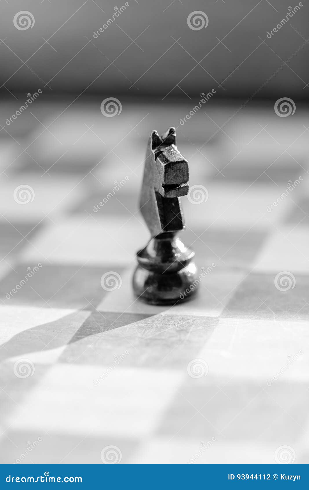 Chess Knight Pawn on Chess Board Close Up. Black and White Stock Photo ...
