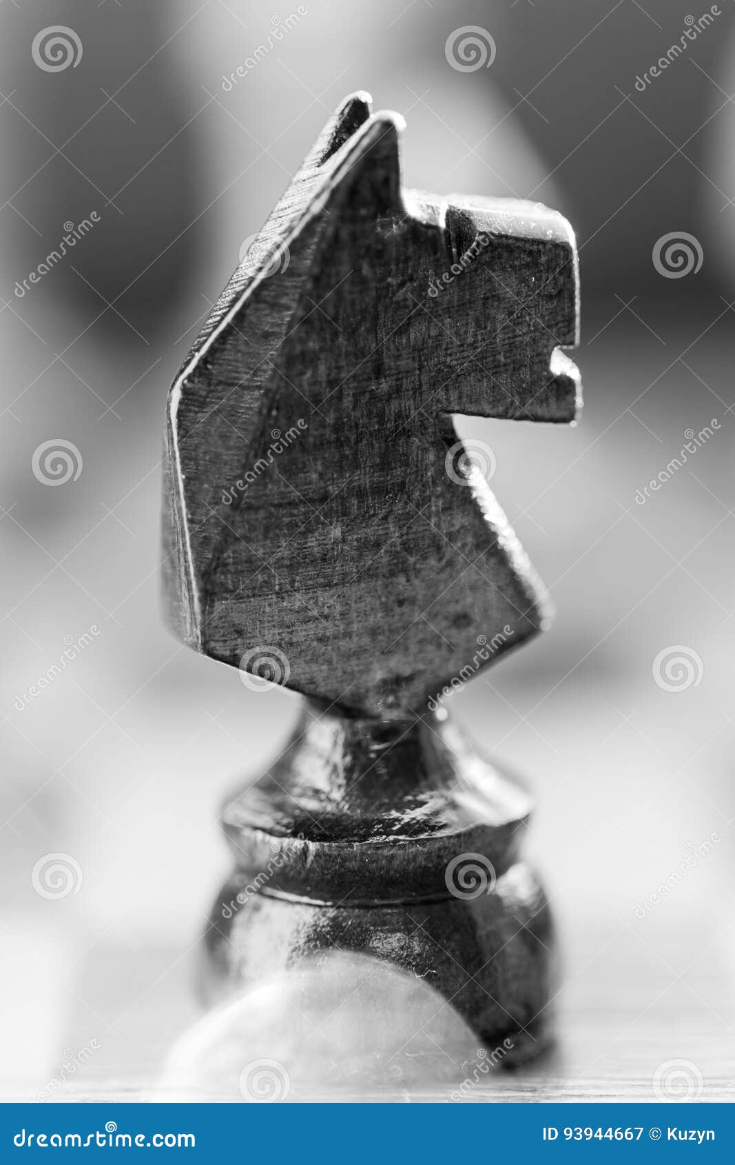 Chess Knight Pawn on Chess Board Close Up. Black and White Stock Image ...