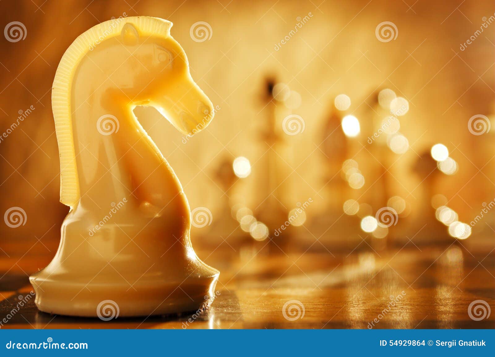 Chess knight . stock photo. Image of fight, board, planning - 54929864