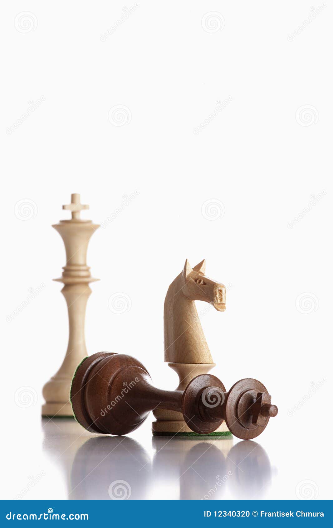 Chess knights stock photo. Image of tactics, wood, thinking - 12340320