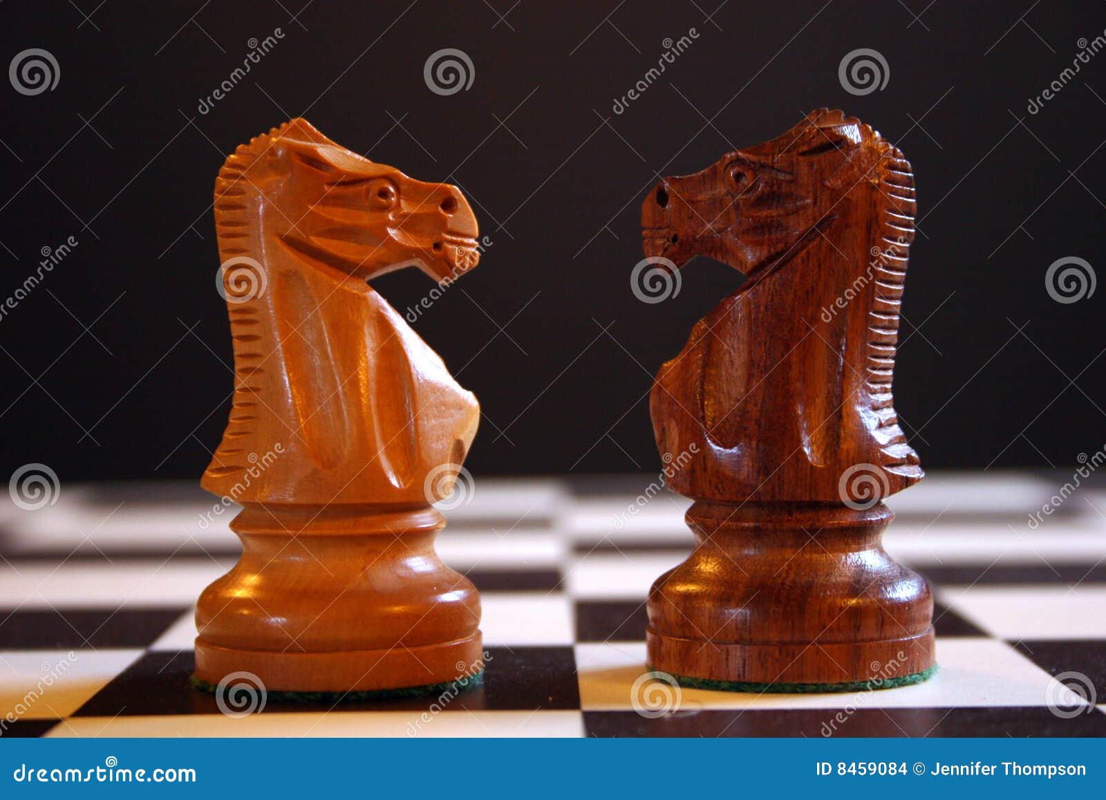 Chess knights stock photo. Image of play, chessmen, board - 8459084