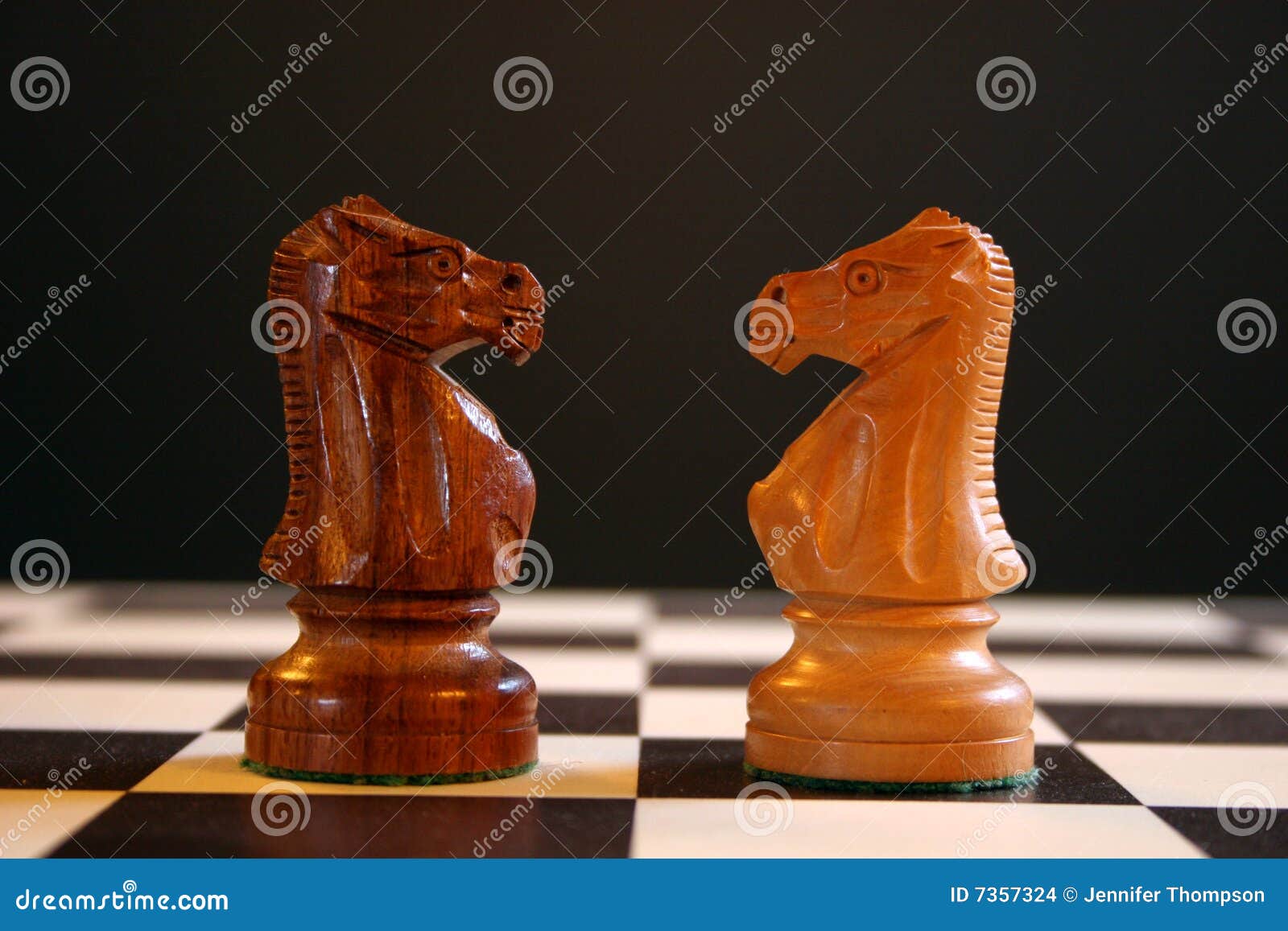 Chess knights on board stock photo. Image of board, check - 7357324