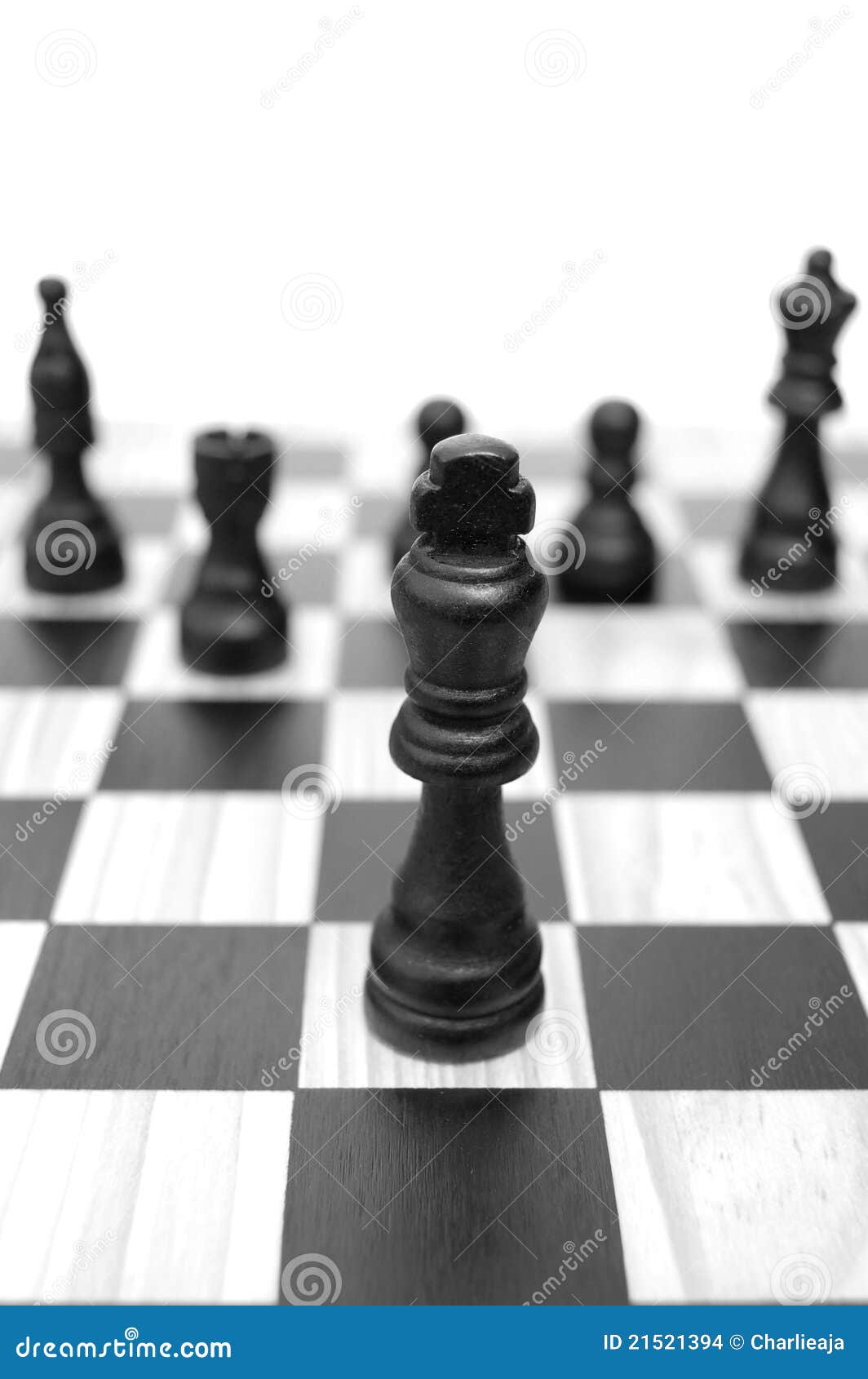 Chess leader stock photo. Image of checkmate, metaphor - 21521394