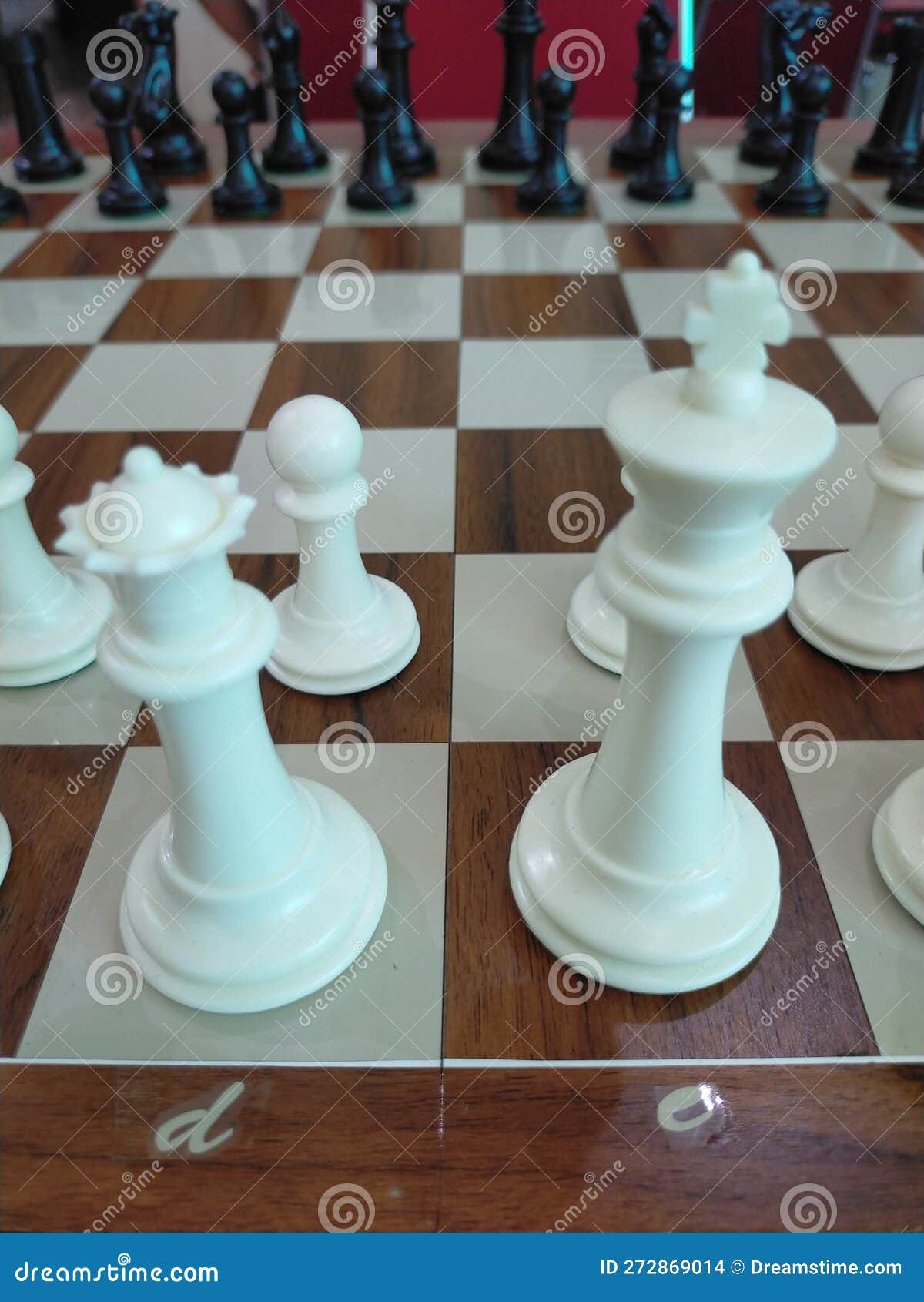 Chess Match profesional stock photo. Image of chess - 272869014