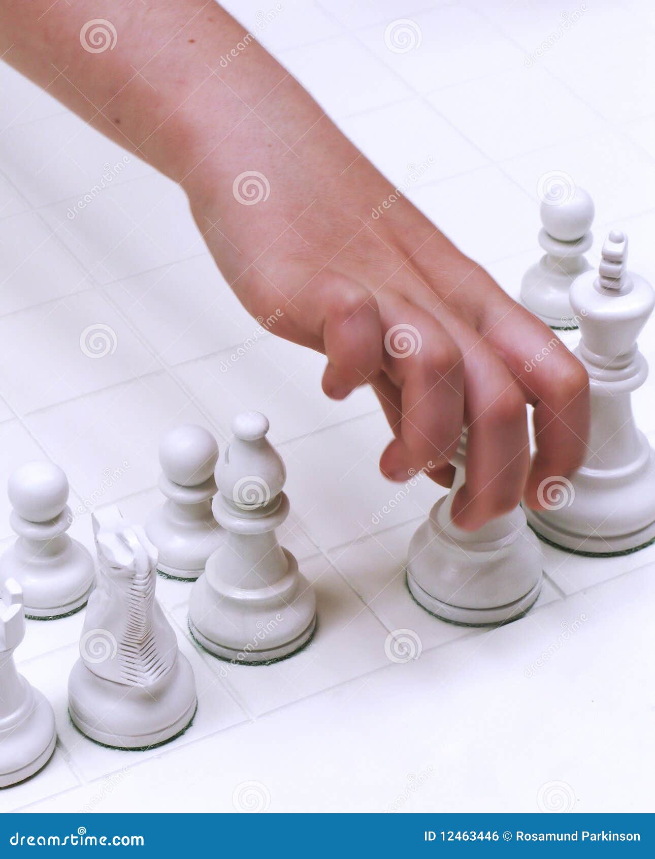 Chess move stock photo. Image of action, picking, move - 12463446