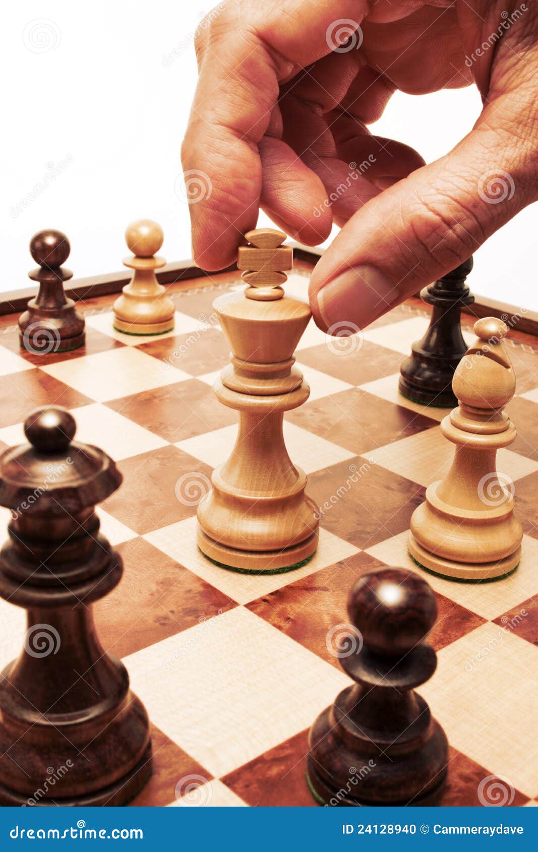 Chess Move Hand Business Strategy Stock Photo - Image of holding ...