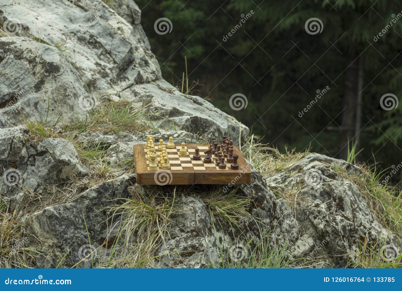 The Chess in Nature Forest and Rocks Stock Photo - Image of wooden ...