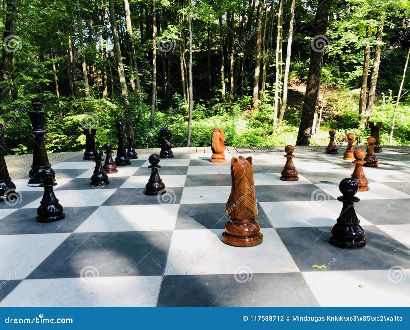 Chess of Nature stock photo. Image of nature, nextstep - 117588712