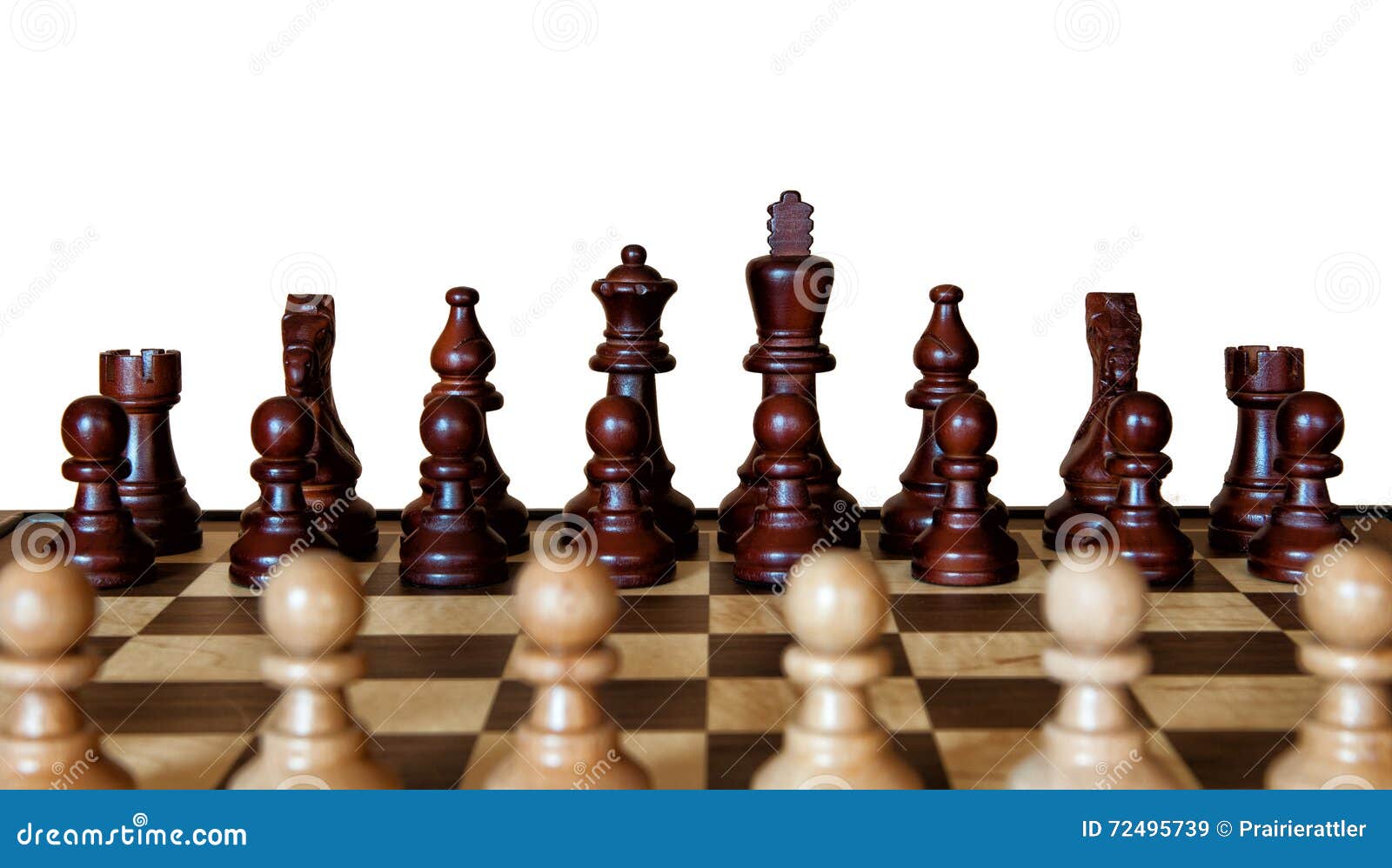 Chess Opponents stock image. Image of chess, rook, strategy - 72495739