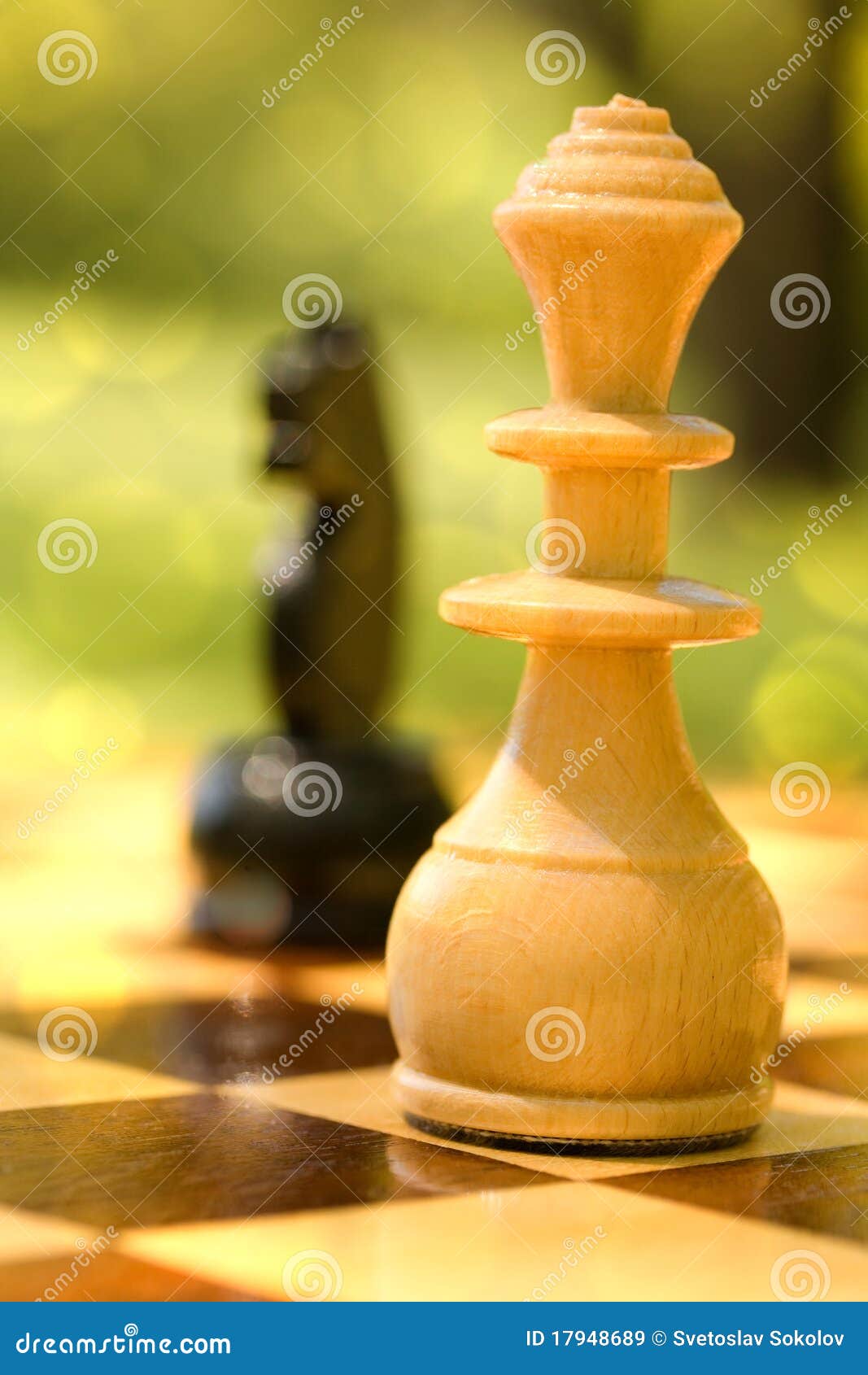 Chess in the park stock image. Image of education, city - 17948689