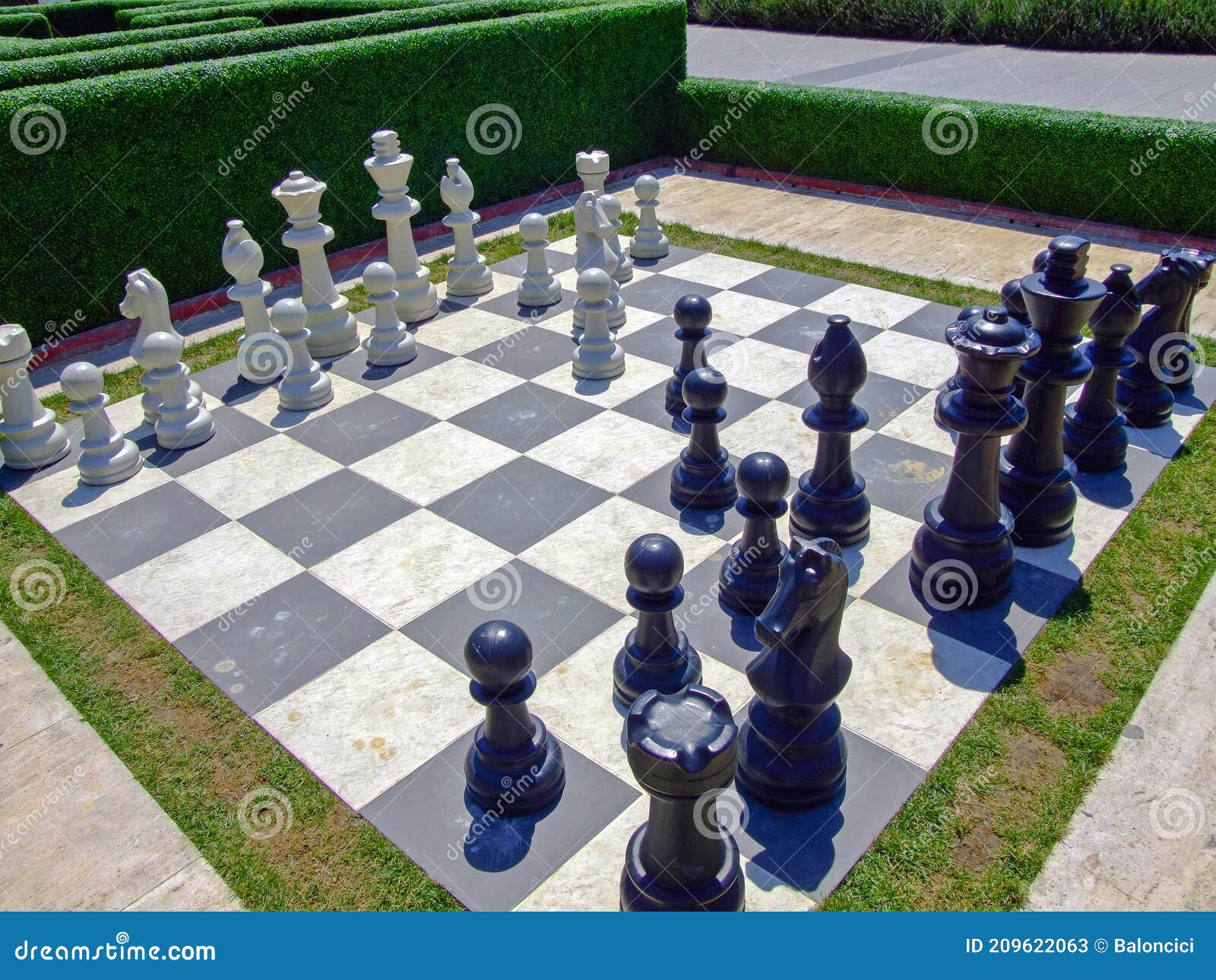Chess in Park stock image. Image of game, sport, turkey - 209622063