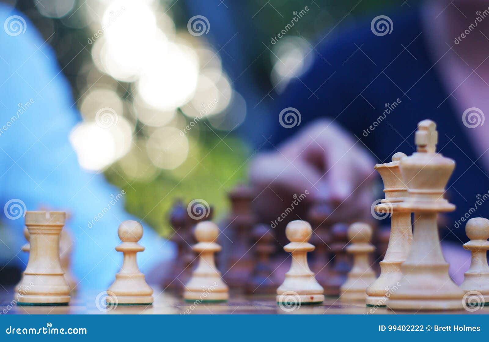 Chess in the park closeup stock photo. Image of outdoor - 99402222