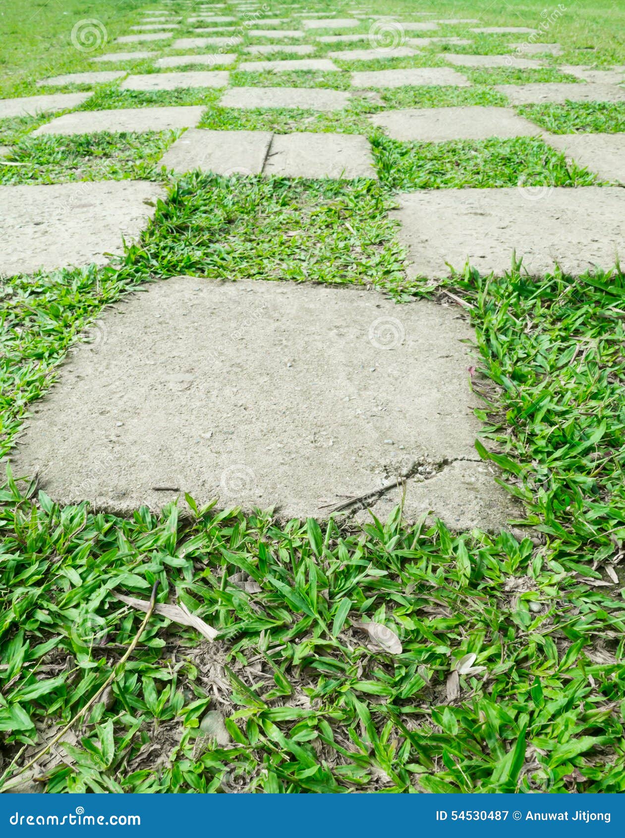 Chess pattern pathway stock image. Image of square, plant - 54530487