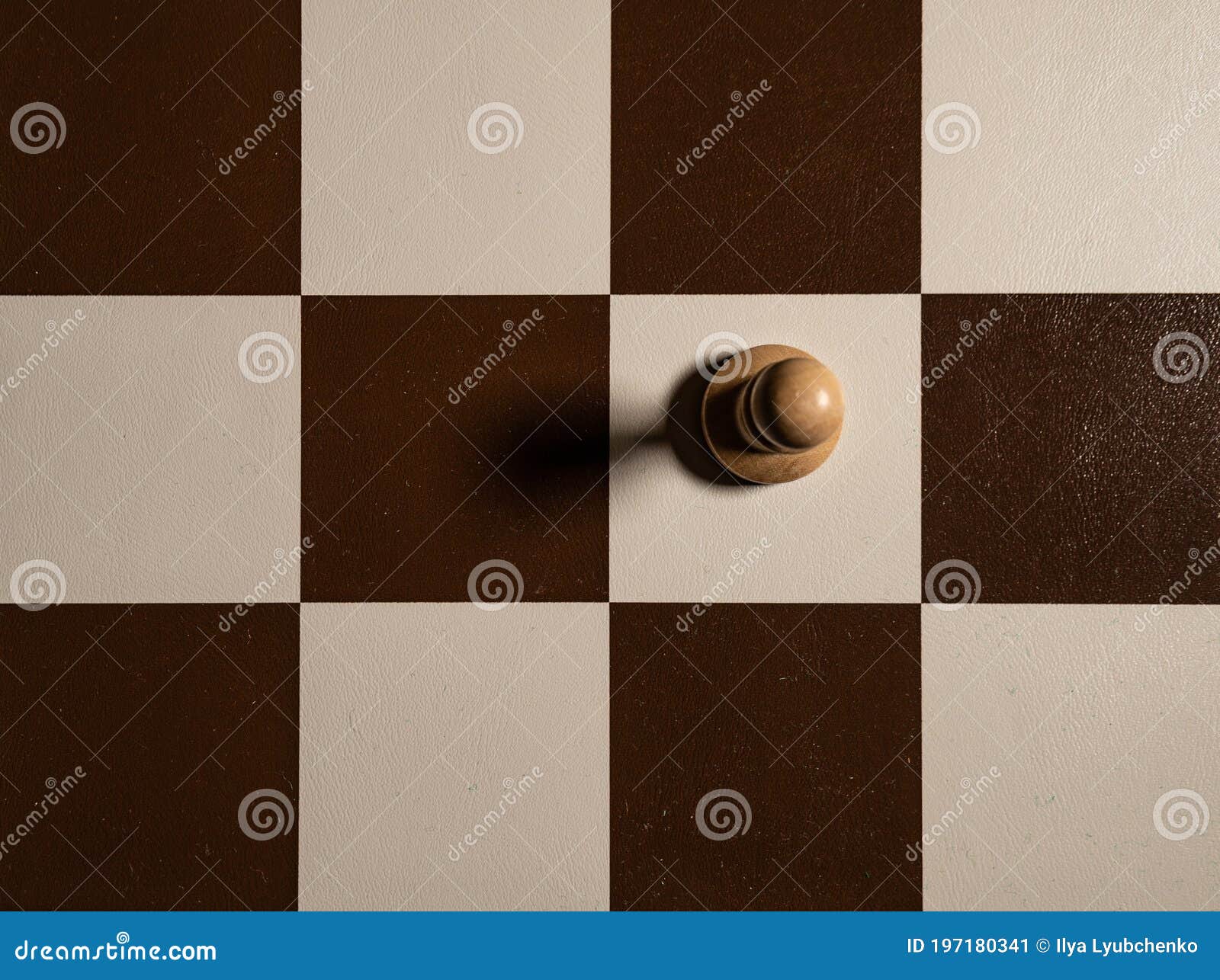 Chess Pawn View from Top One, Board of Cells, Shadow Falls To the Side ...