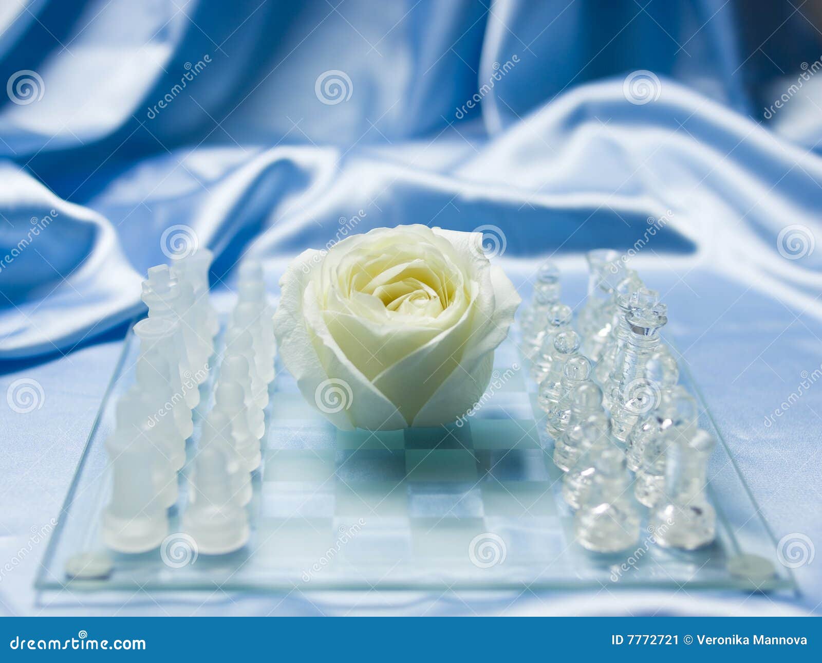 Chess Peace Picture. Image: 7772721