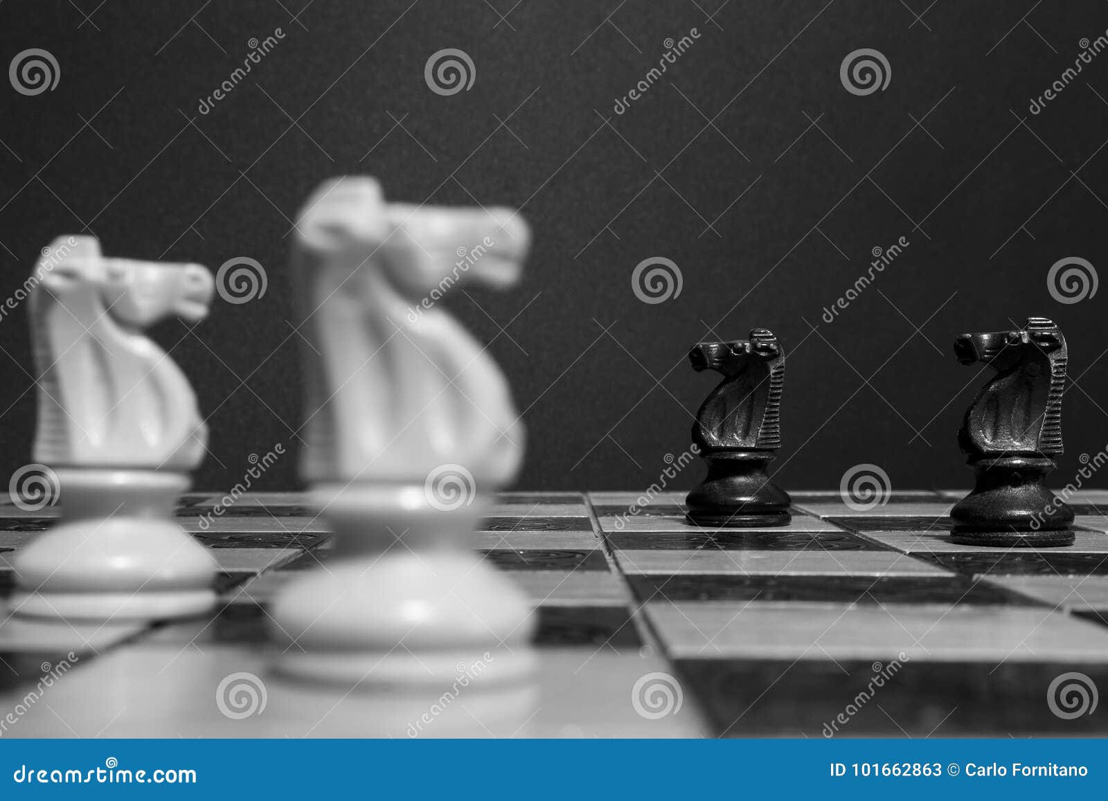 Chess stock image. Image of white, squares, coach, audacity - 101662863
