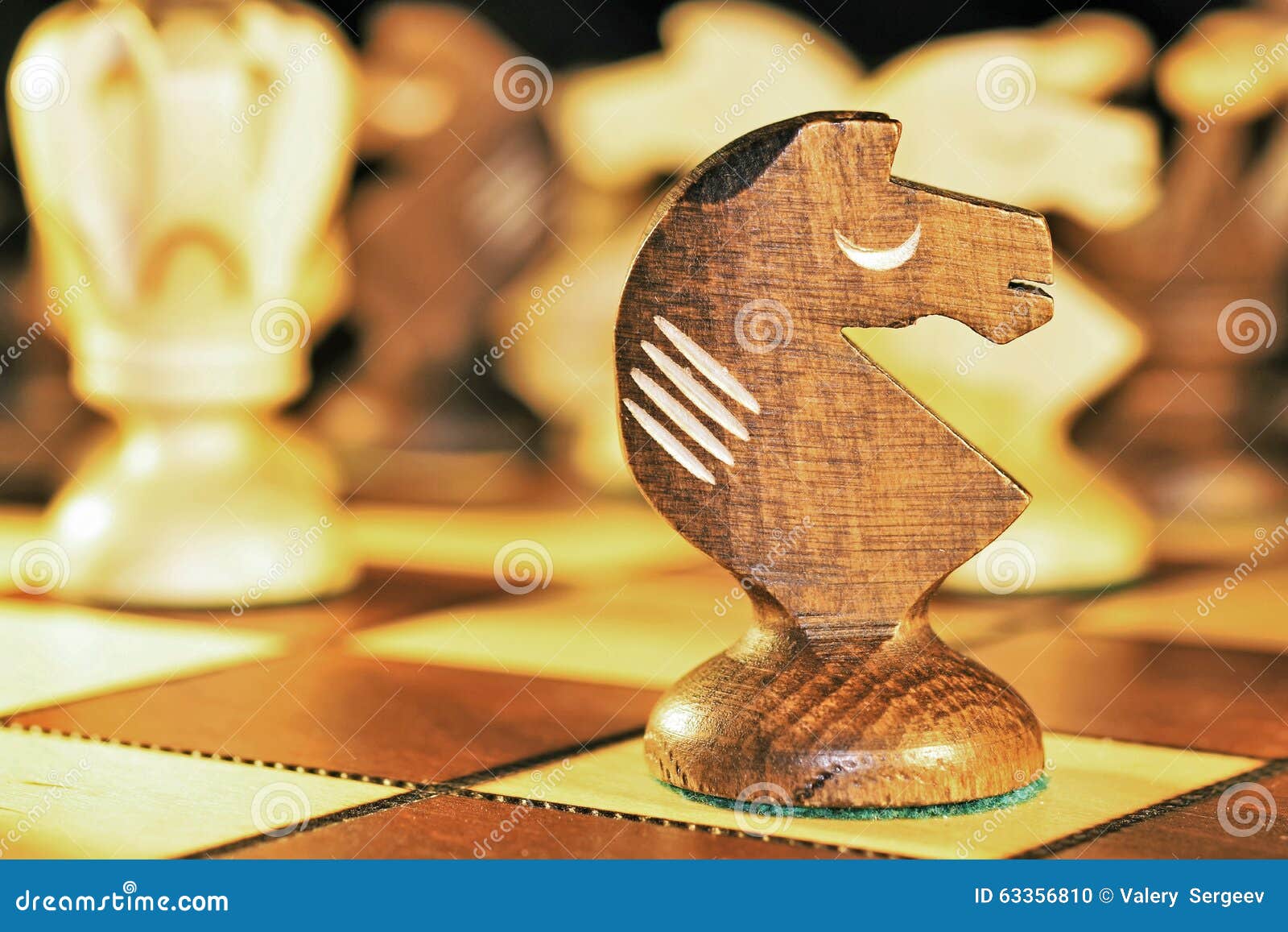 Chess piece - the knight stock photo. Image of intersect - 63356810