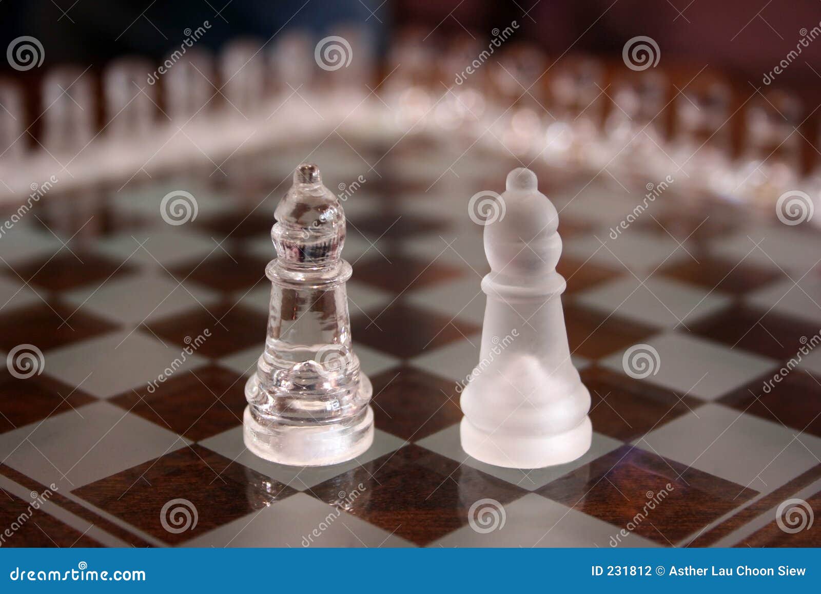 Chess pieces stock photo. Image of pieces, pair, piece - 231812