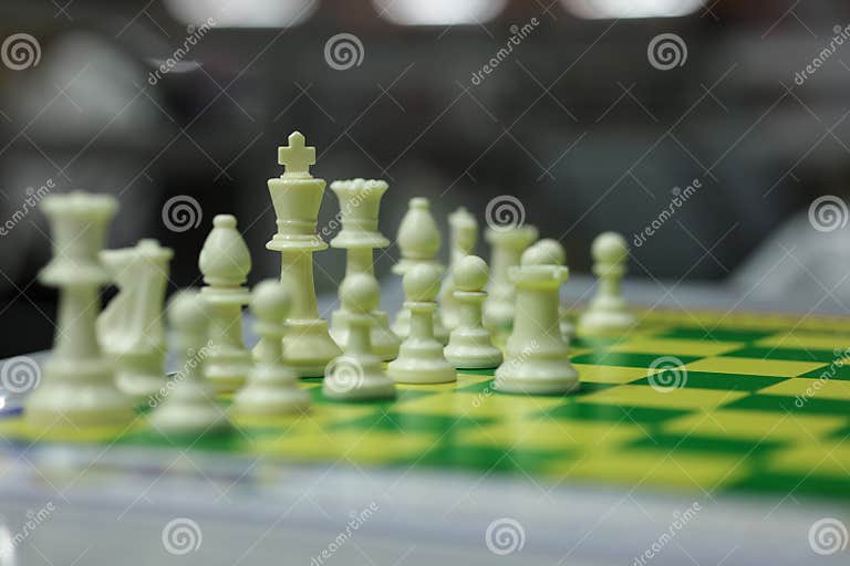 The Chess Pieces are Arranged on a Board. Chess Set in Order with ...