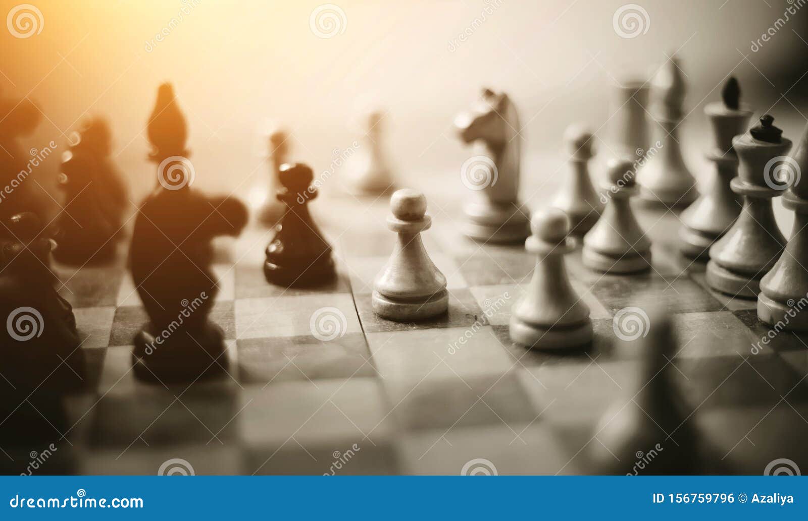 Chess pieces on the Board stock photo. Image of king - 156759796