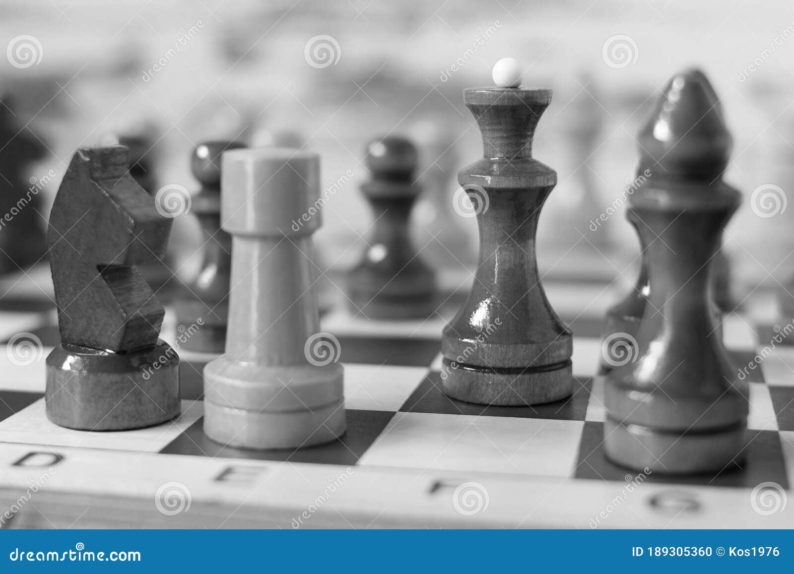 Chess Pieces on a Chessboard Stock Photo - Image of strategy, white ...