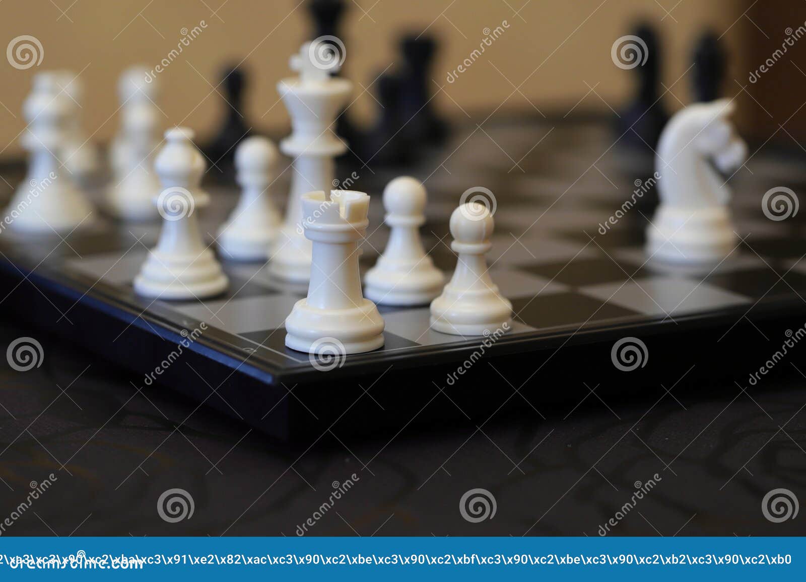 Chess Pieces on a Chessboard for Children`s Activities for Brain ...