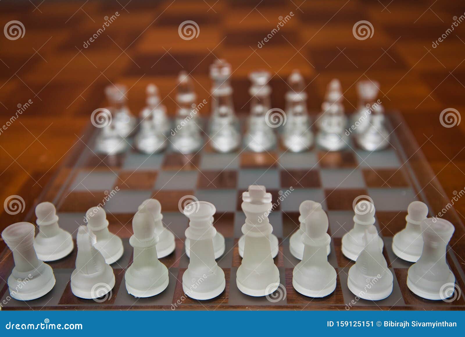 Chess Pieces Facing Each Other on a Chess Board. Stock Image - Image of ...