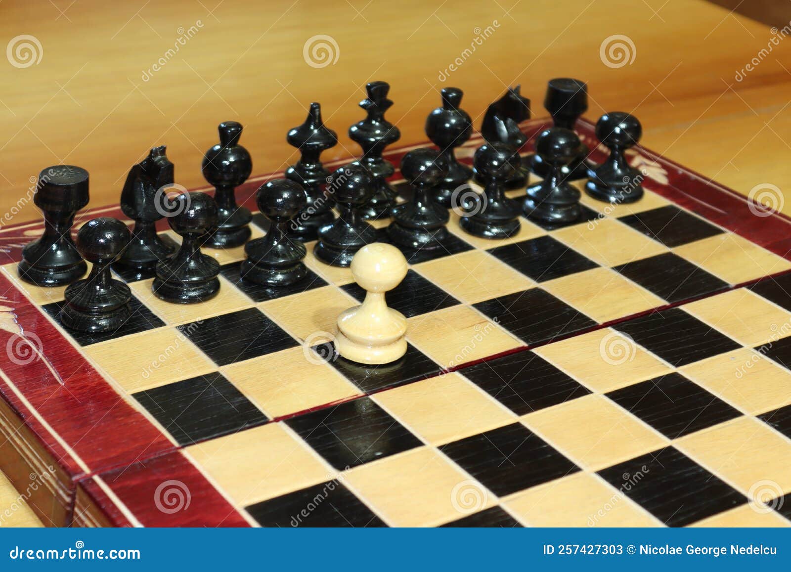 Chess Pieces that Illustrate the Differences from a Political Point of ...