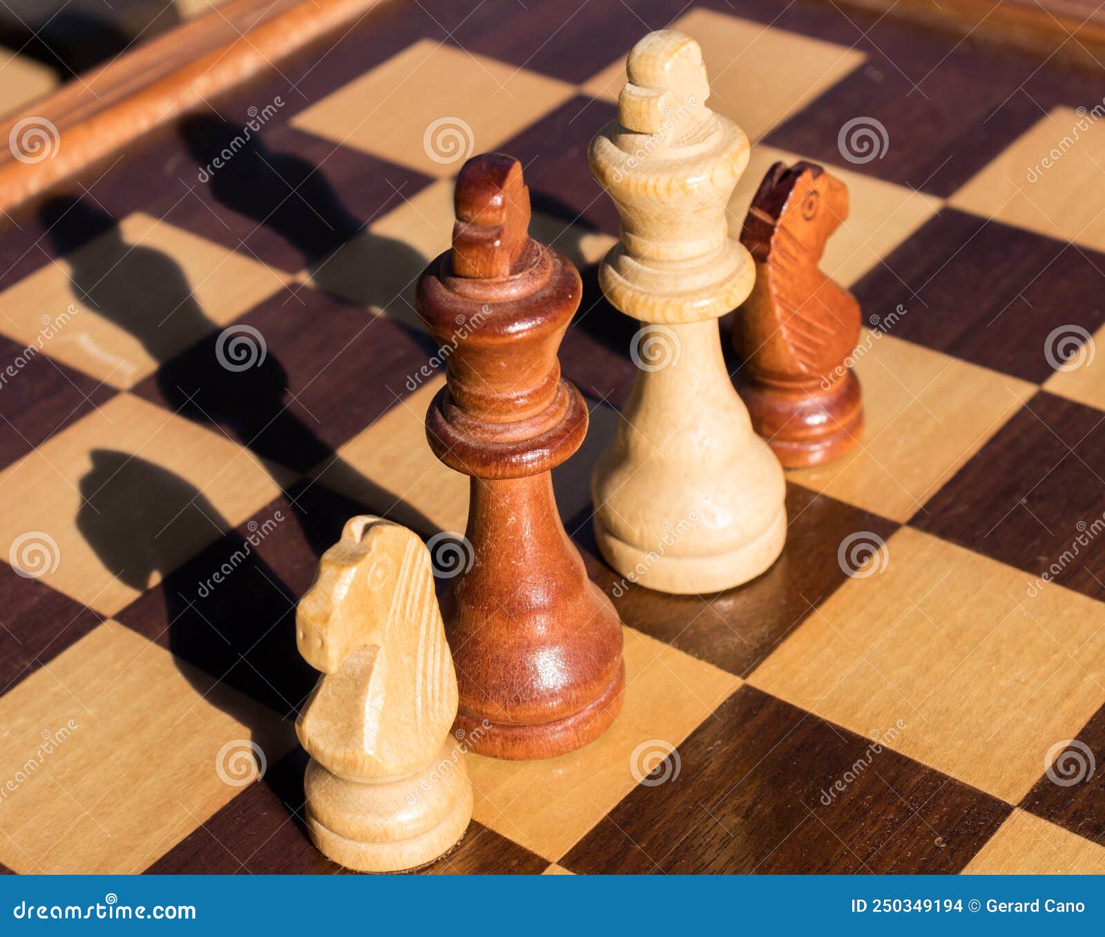 Chess Pieces Lined Up on the Board Stock Photo - Image of assemble ...