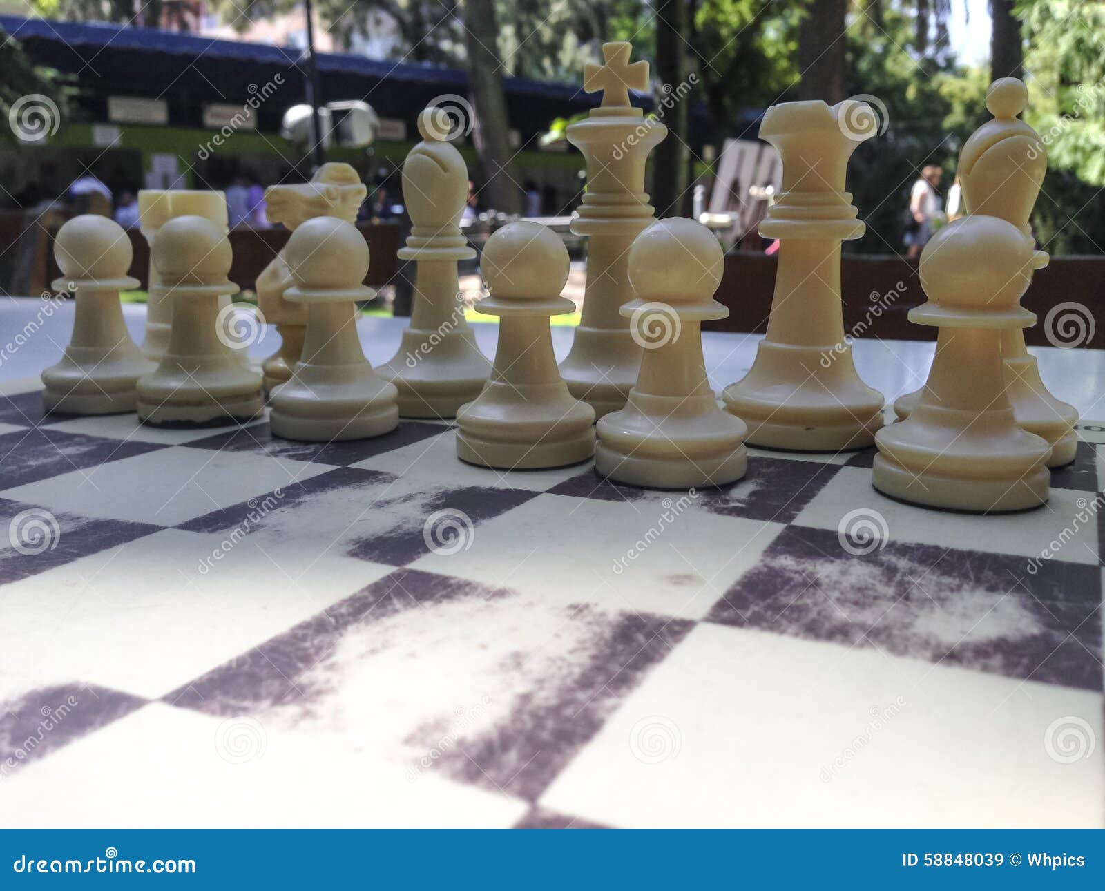 Chess pieces in the park stock image. Image of nature - 58848039
