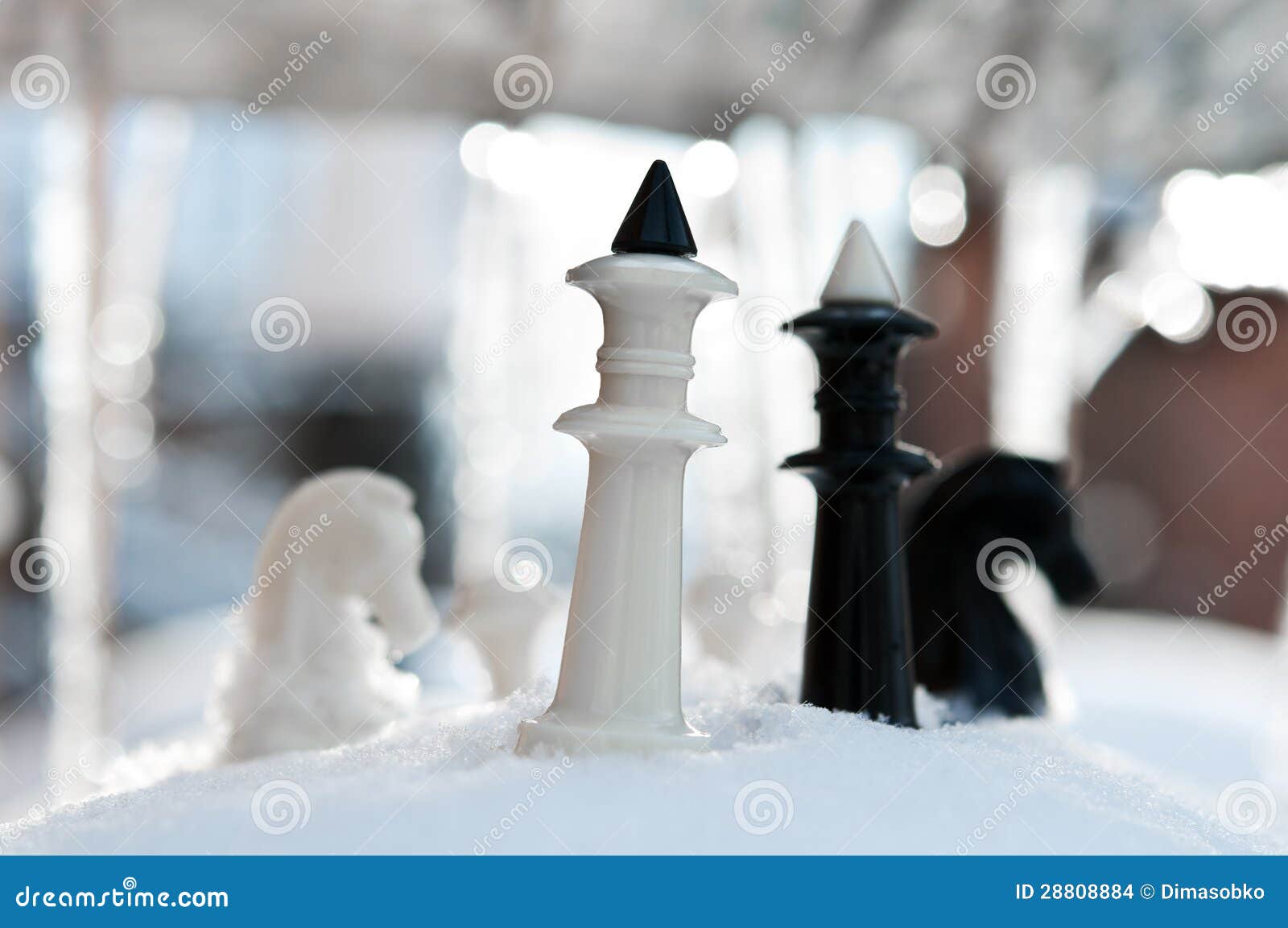 Chess pieces on snow stock photo. Image of piece, entertainment - 28808884