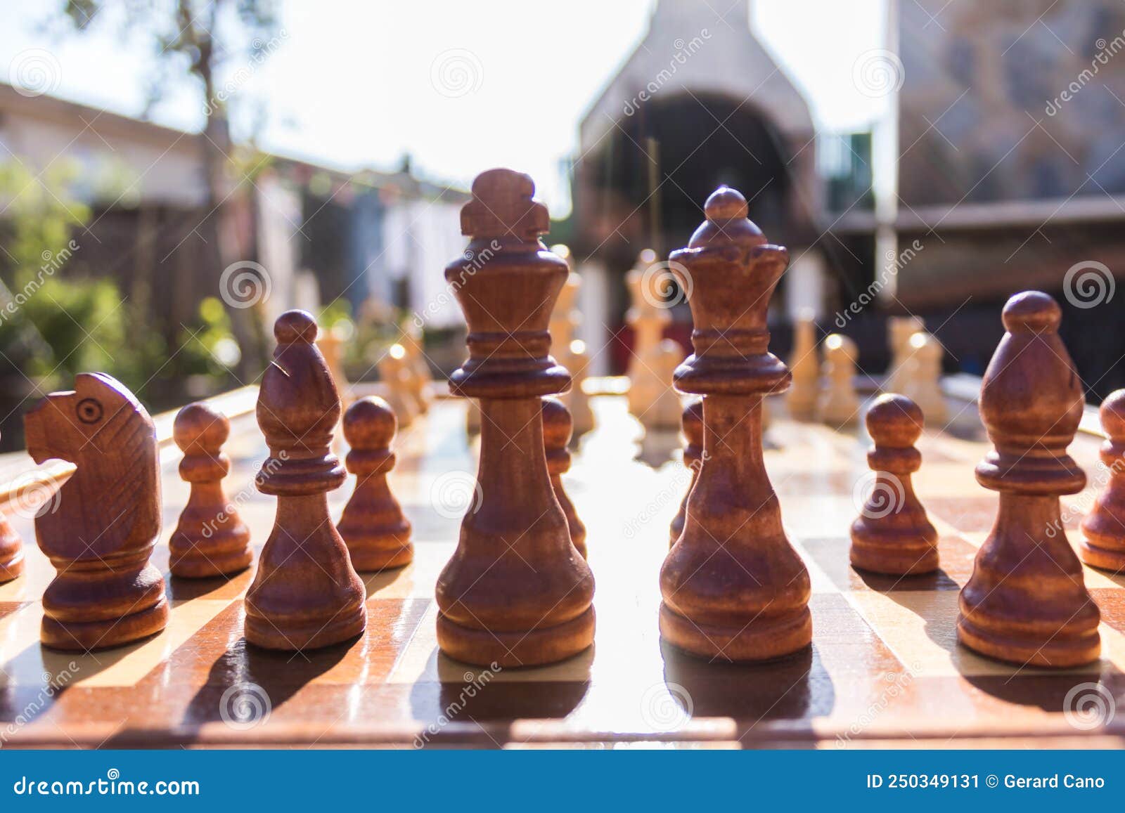 Chess Pieces before the Start of the Game Stock Image - Image of ...