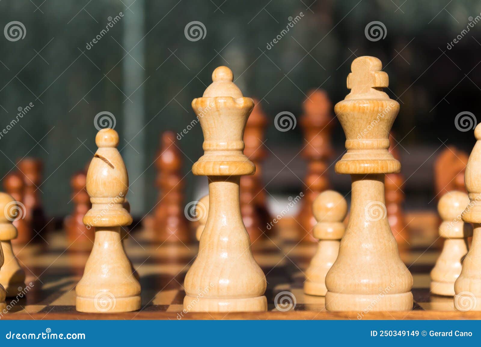 Chess Pieces before the Start of the Game Stock Image - Image of ...