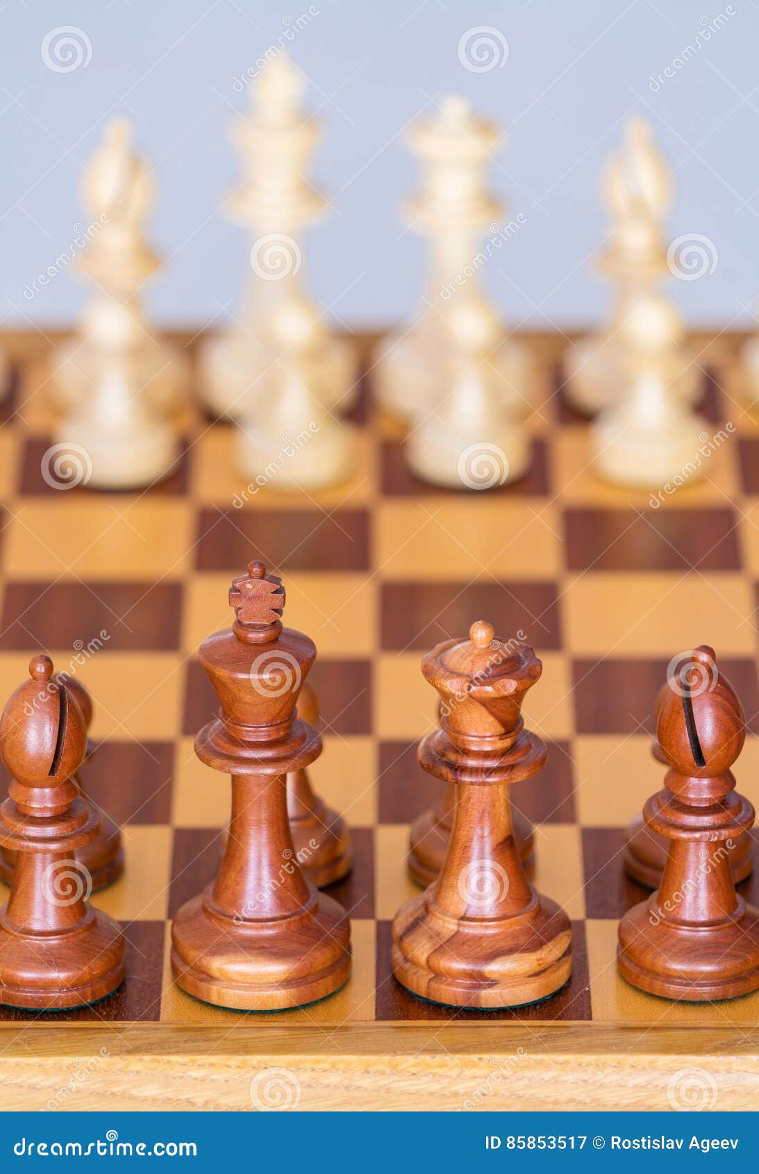 Chess Pieces in Starting Position on a Wooden Board Stock Image - Image ...
