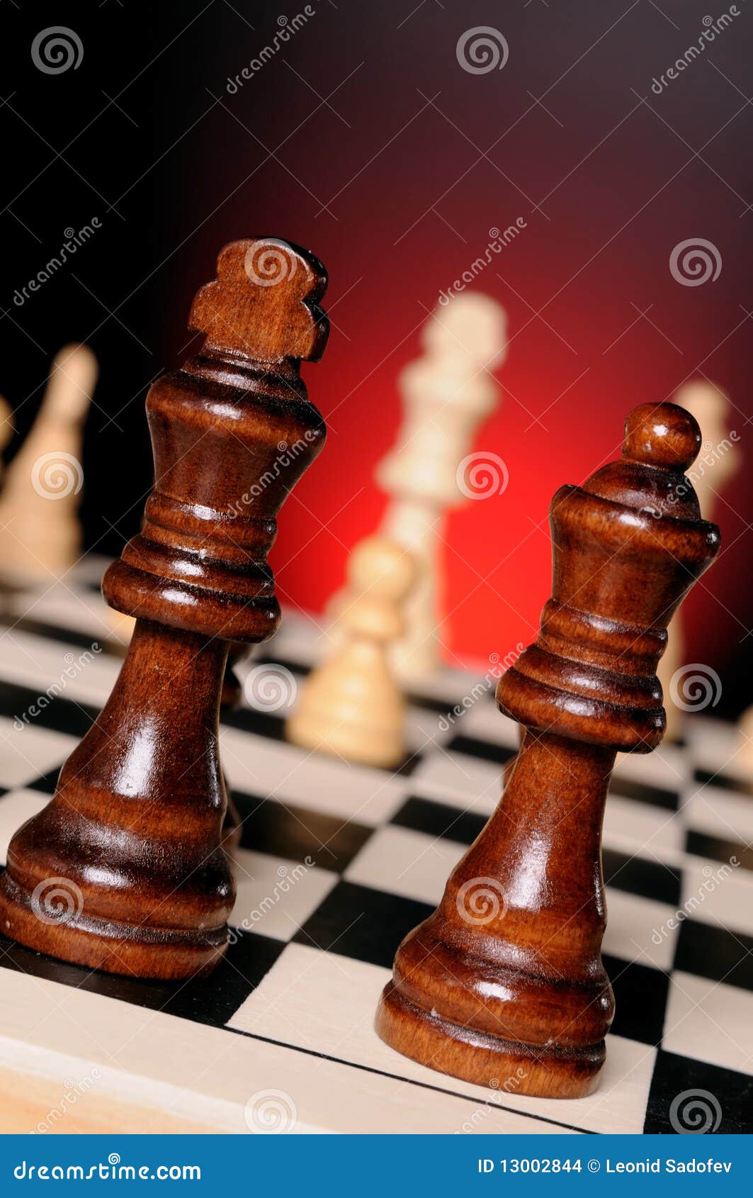 Chess play stock photo. Image of chess, chessboard, concept - 13002844