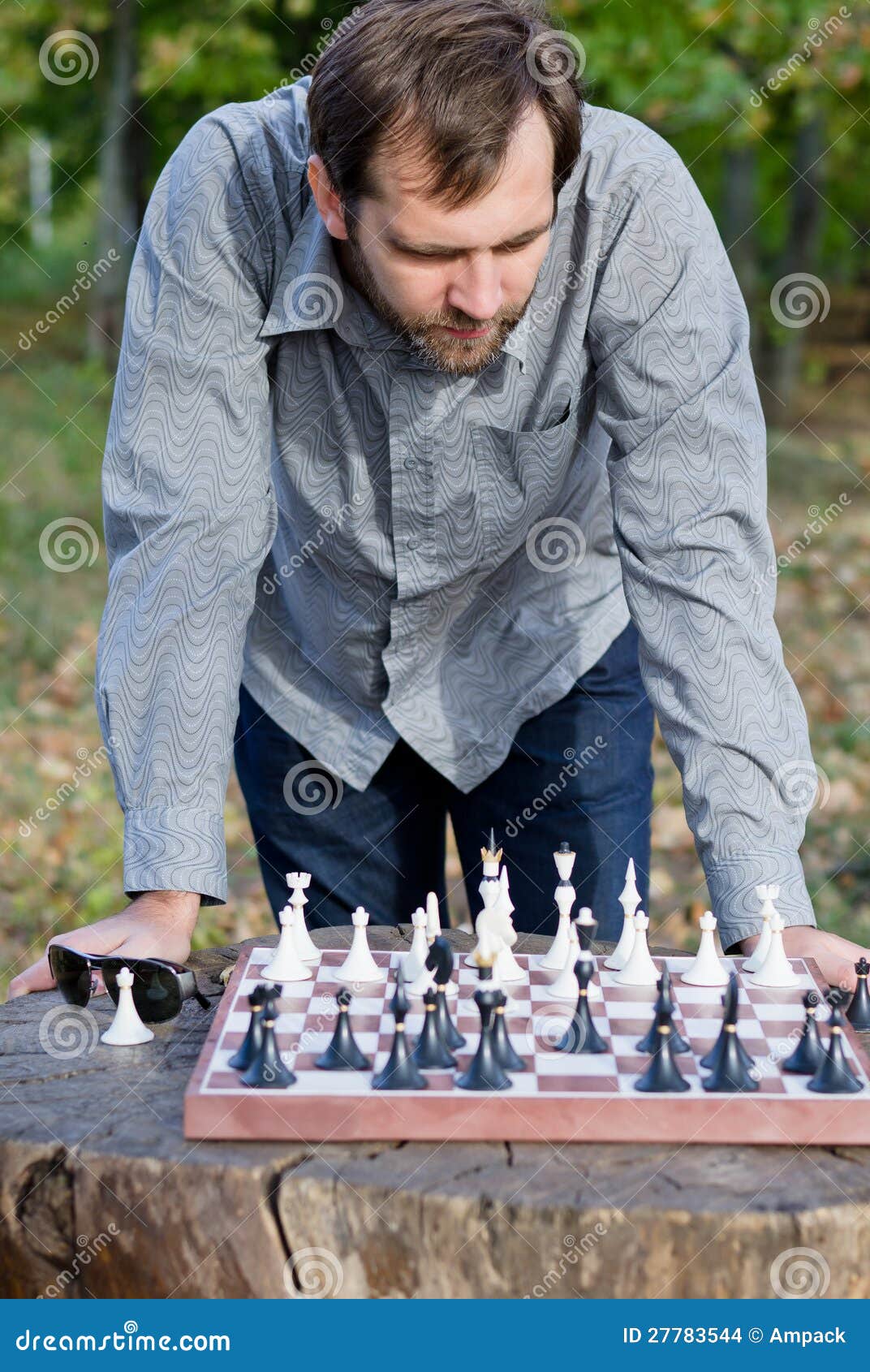 Chess player stock photo. Image of battlefield, competitive - 27783544