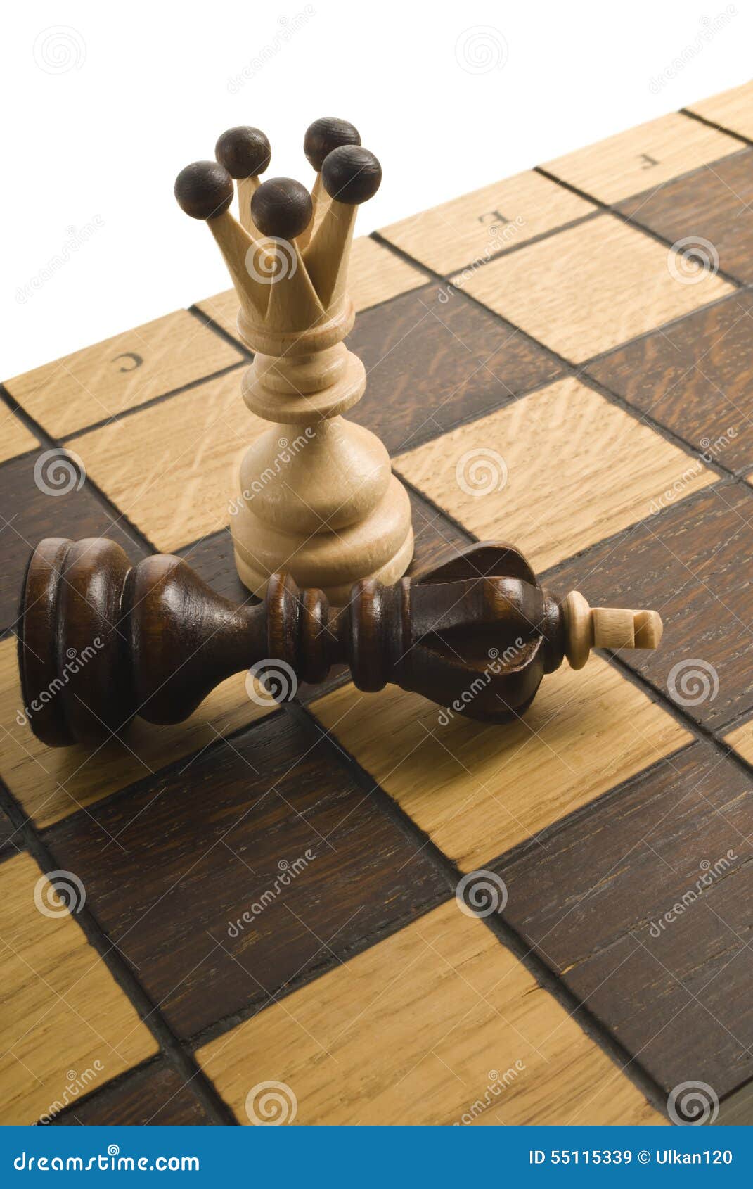 Chess the Queen Wins Victory Over the Game Stock Image - Image of king ...