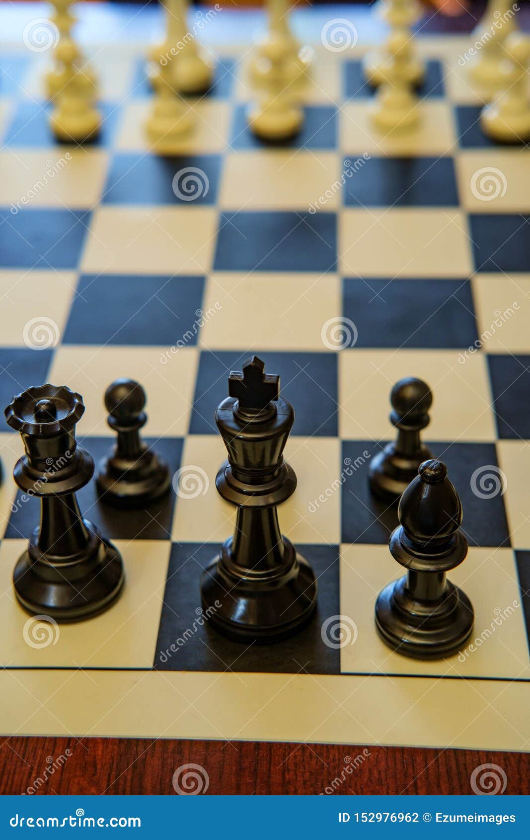 Chess Set Up Beginning stock photo. Image of hobby, queen - 152976962