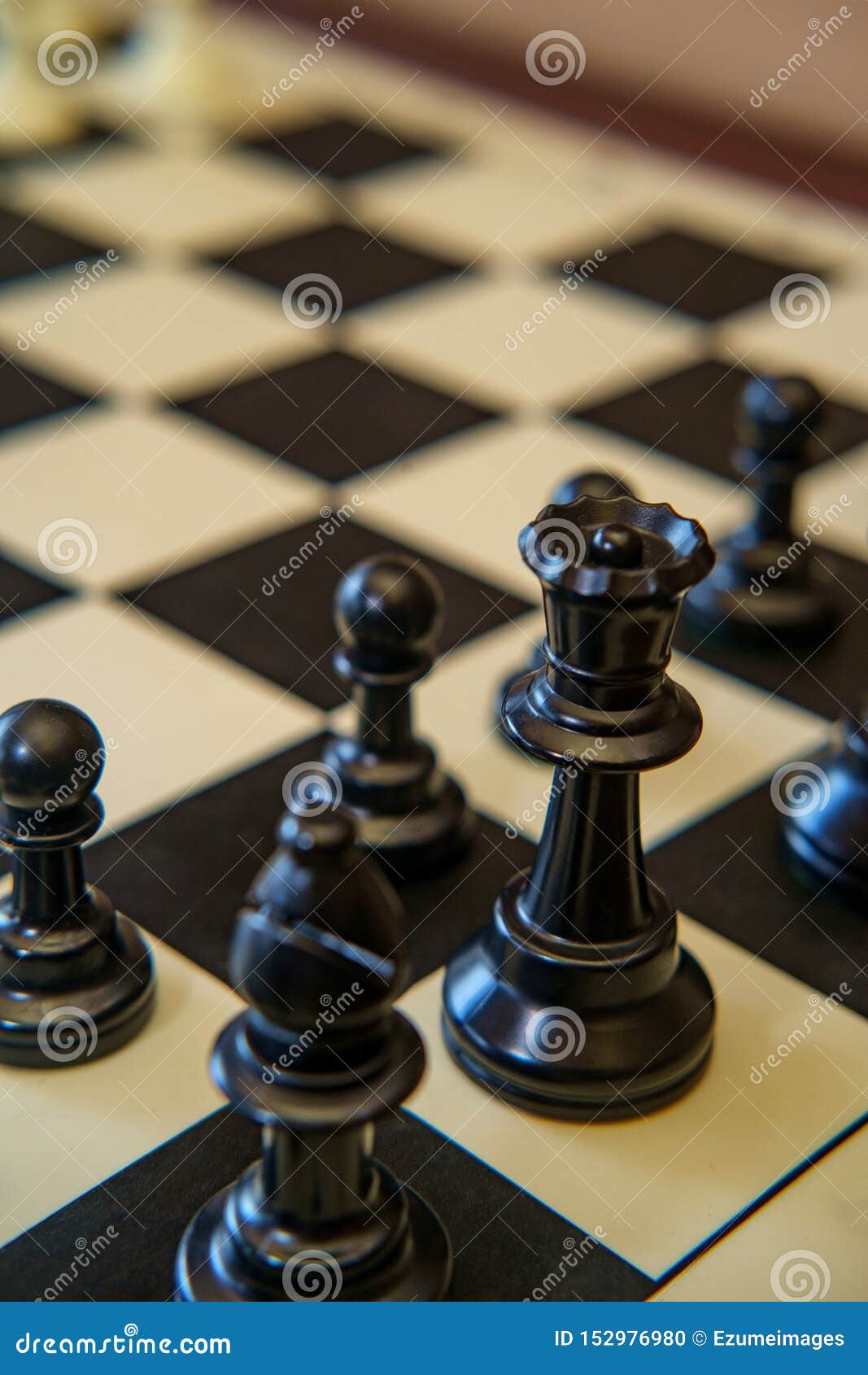 Chess Set Up Beginning stock photo. Image of chess, pieces - 152976980