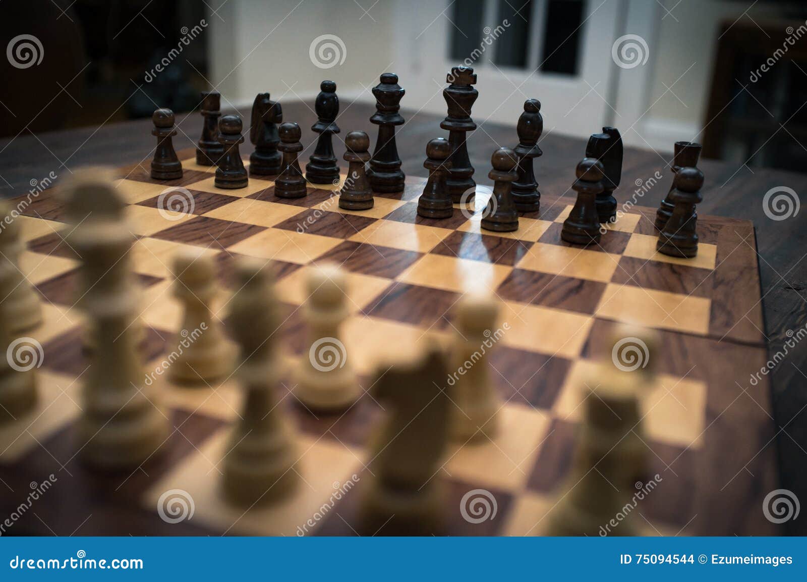 Chess Set Up Beginning stock photo. Image of checkmate - 75094544