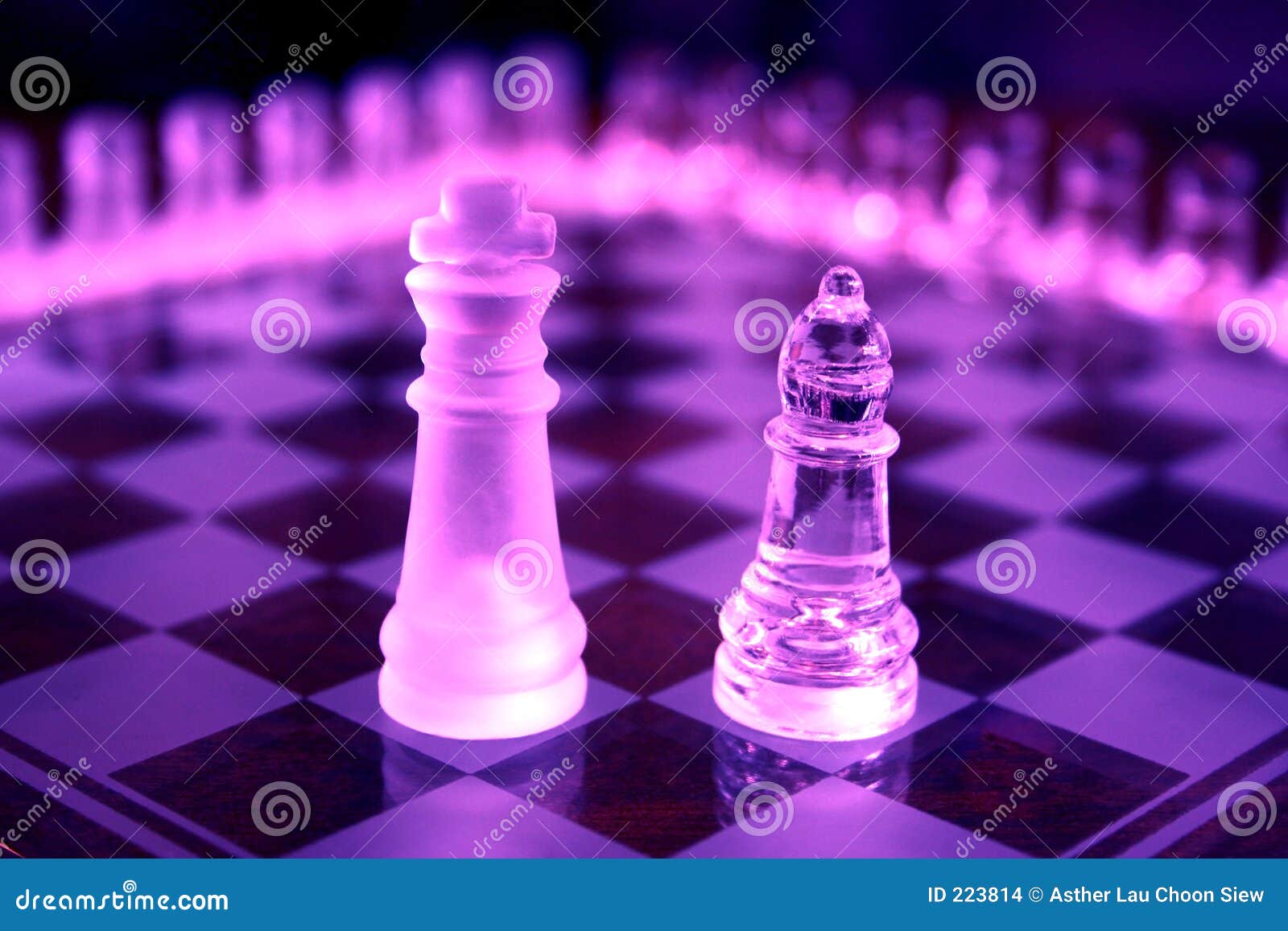 Chess Sets stock photo. Image of check, white, crystal - 223814