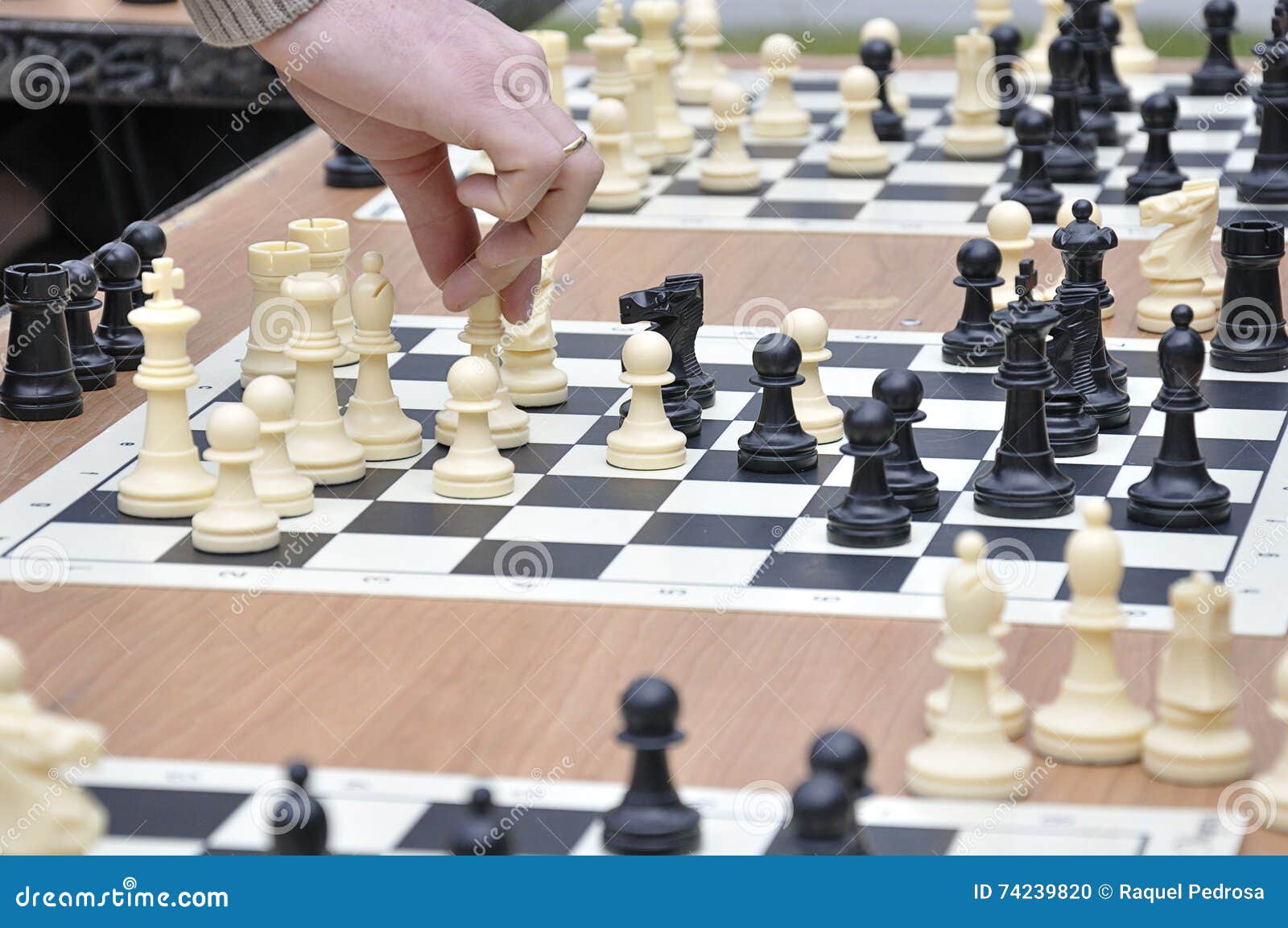 Chess Simultaneous Exhibition Stock Photo - Image of thinking ...